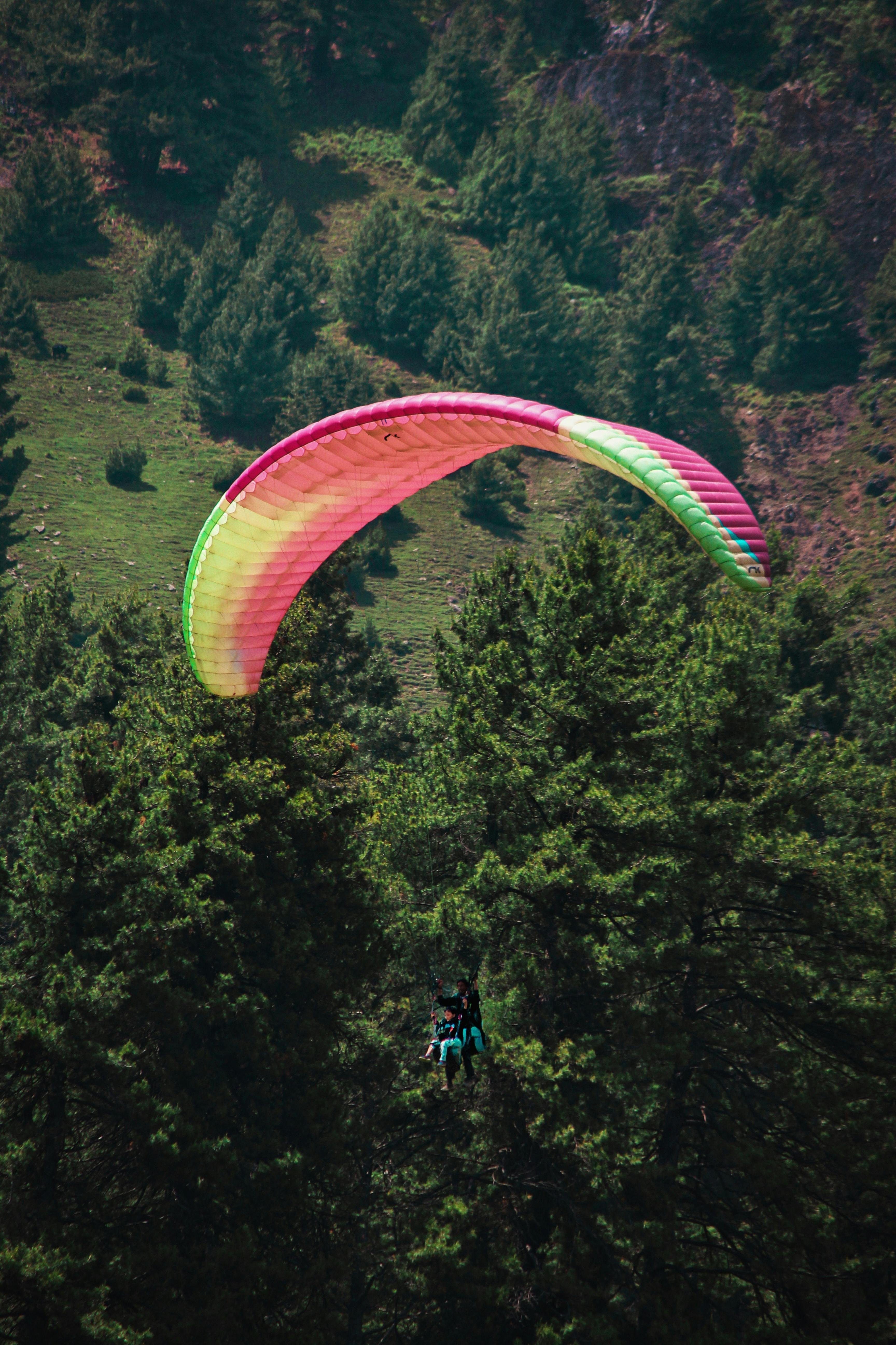 Parachuting over Forest · Free Stock Photo