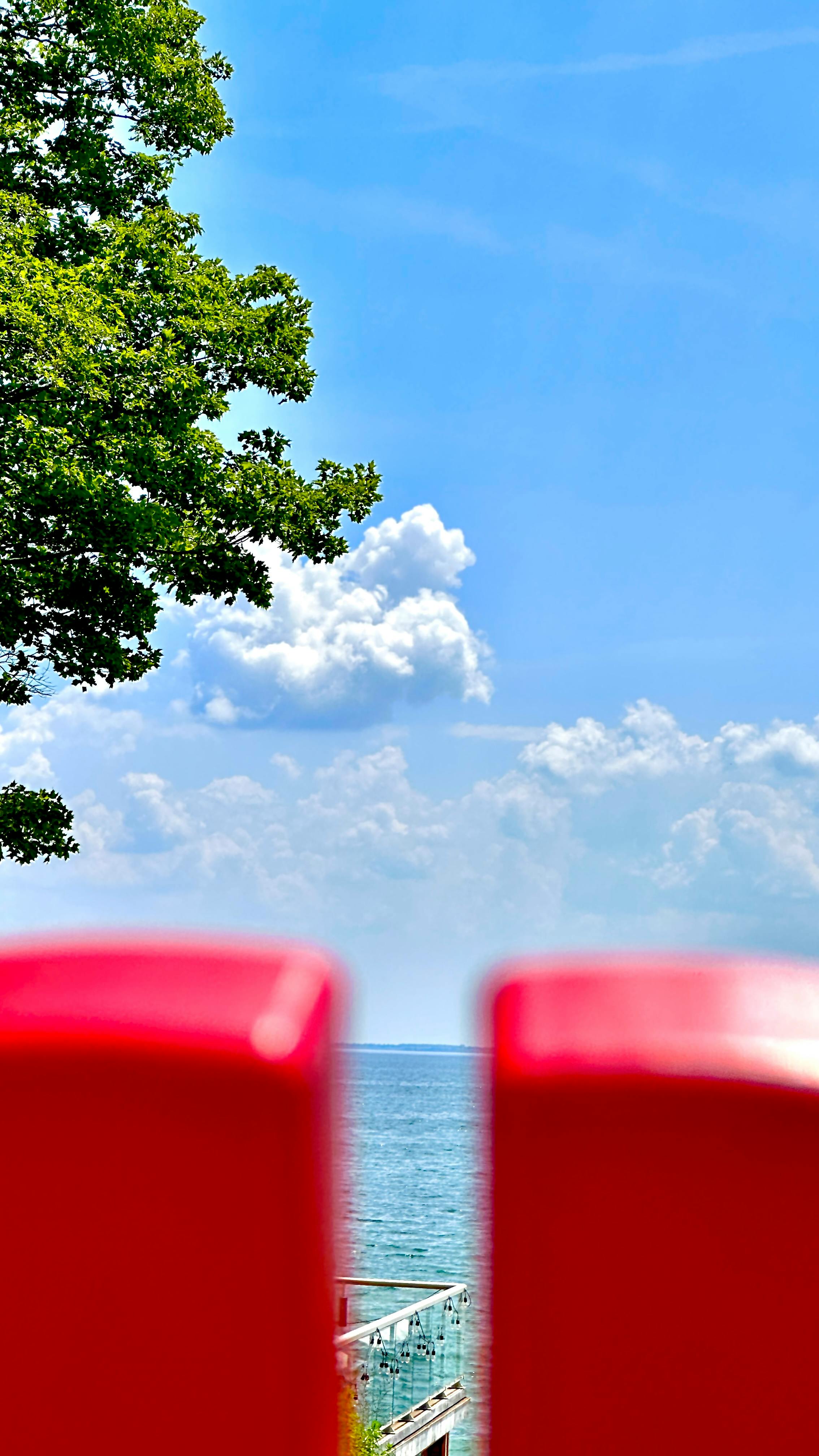 Shan Ali - Fotografía