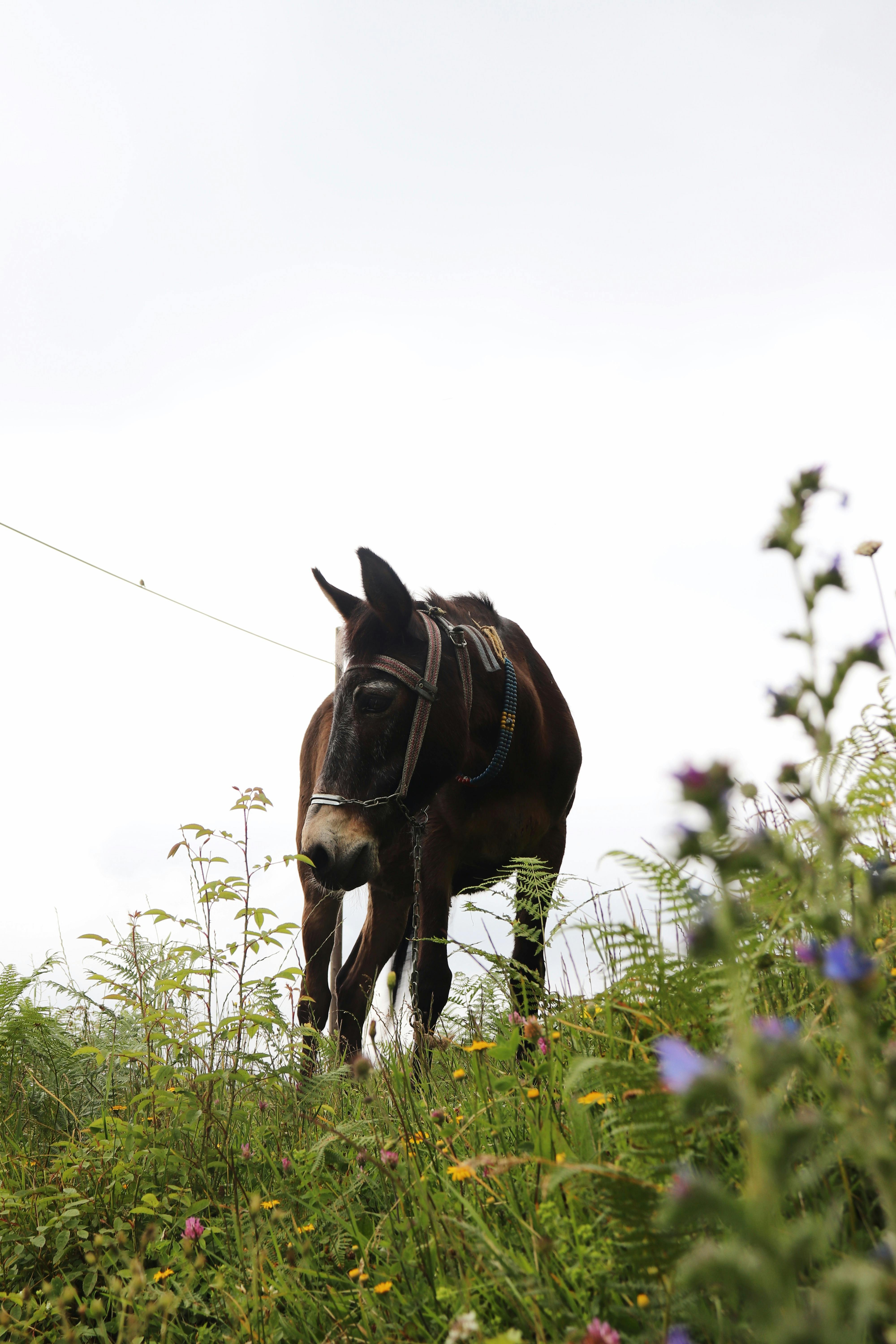 Tetek+Mulus Photos, Download The BEST Free Tetek+Mulus Stock Photos ...