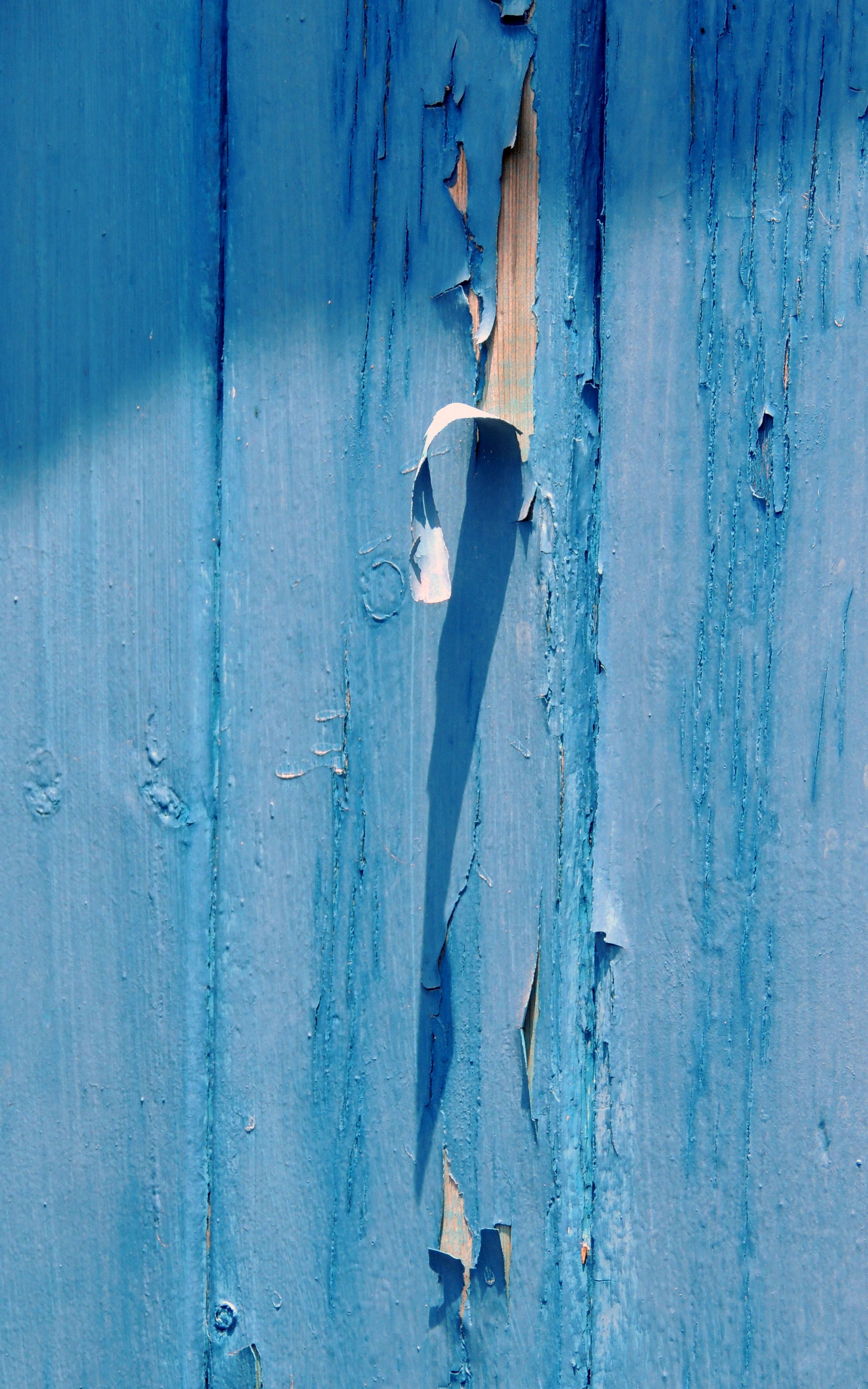 Close-Up Shot of Peeling Paint of a Wall · Free Stock Photo