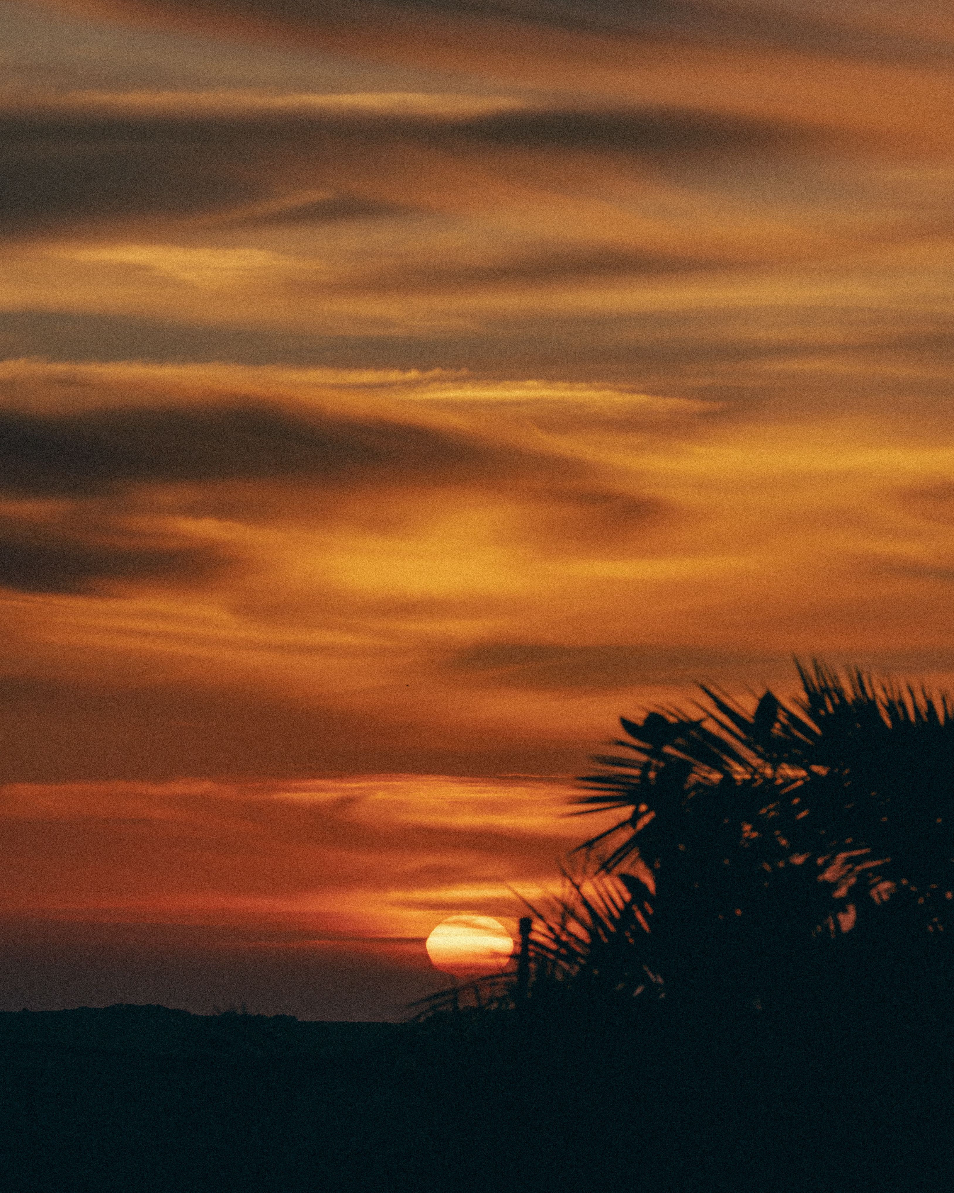Red Sky at Sunset over Sea · Free Stock Photo