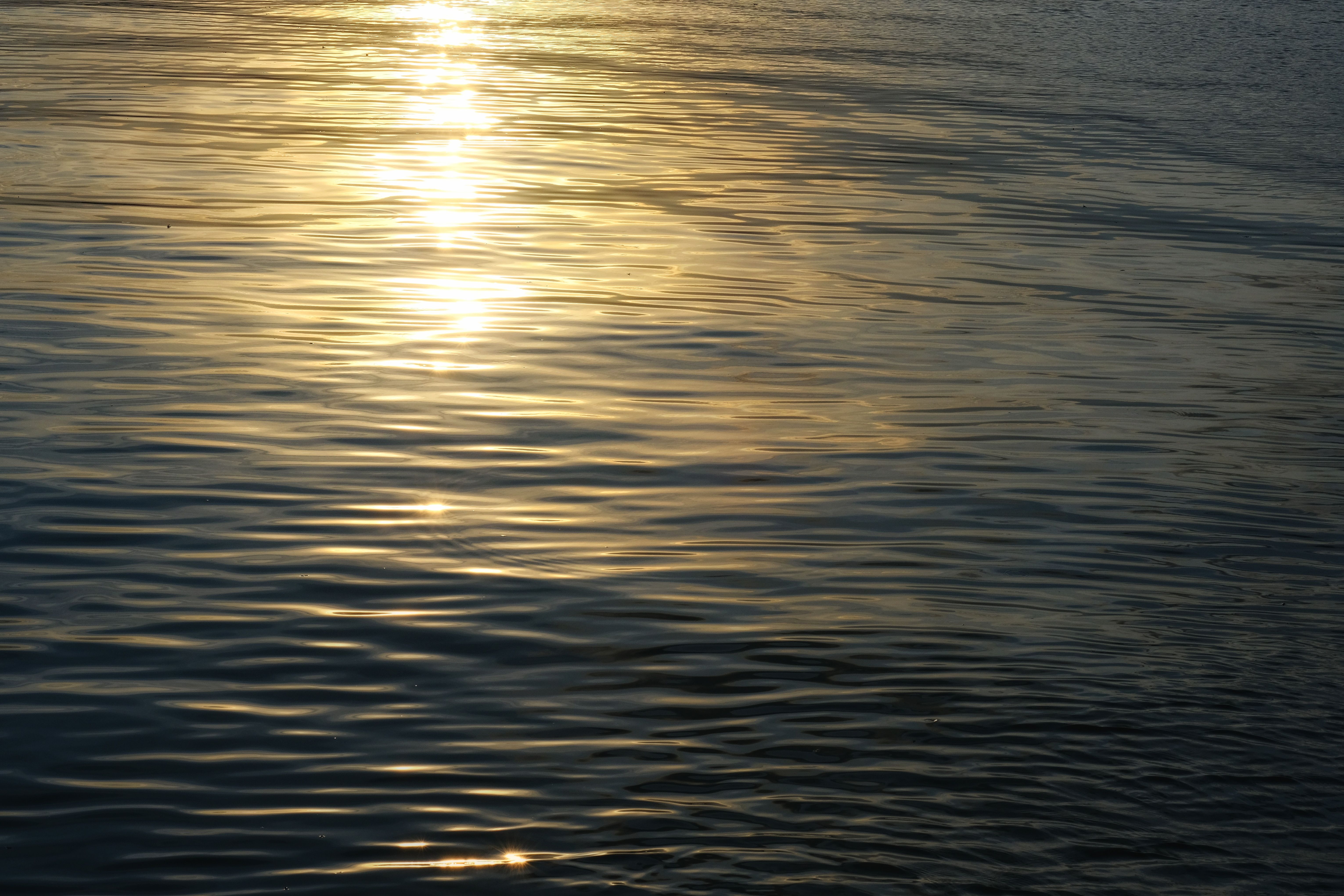 Shiny Water Surface · Free Stock Photo