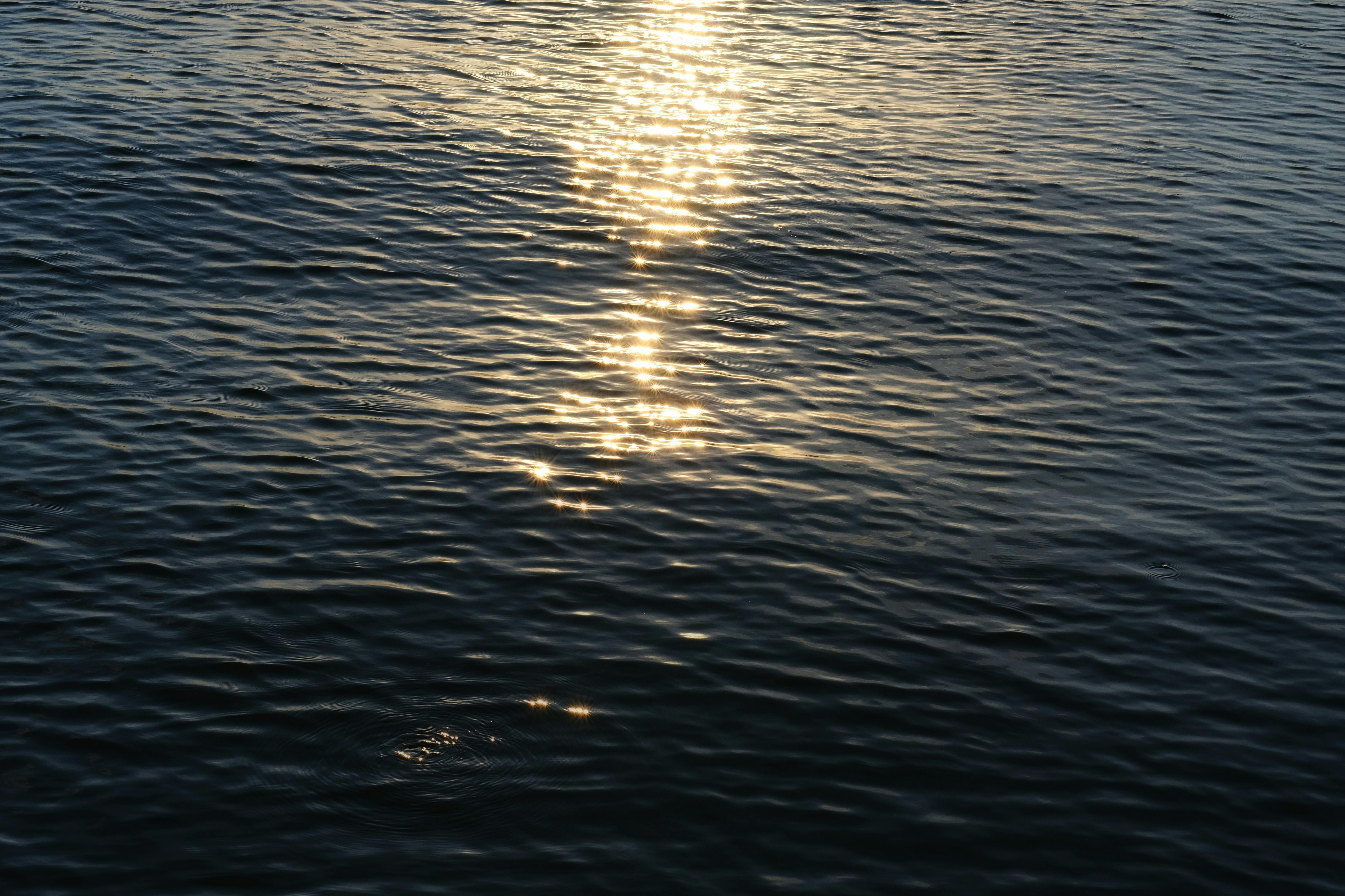 Sun Reflecting Photos, Download The BEST Free Sun Reflecting Stock ...