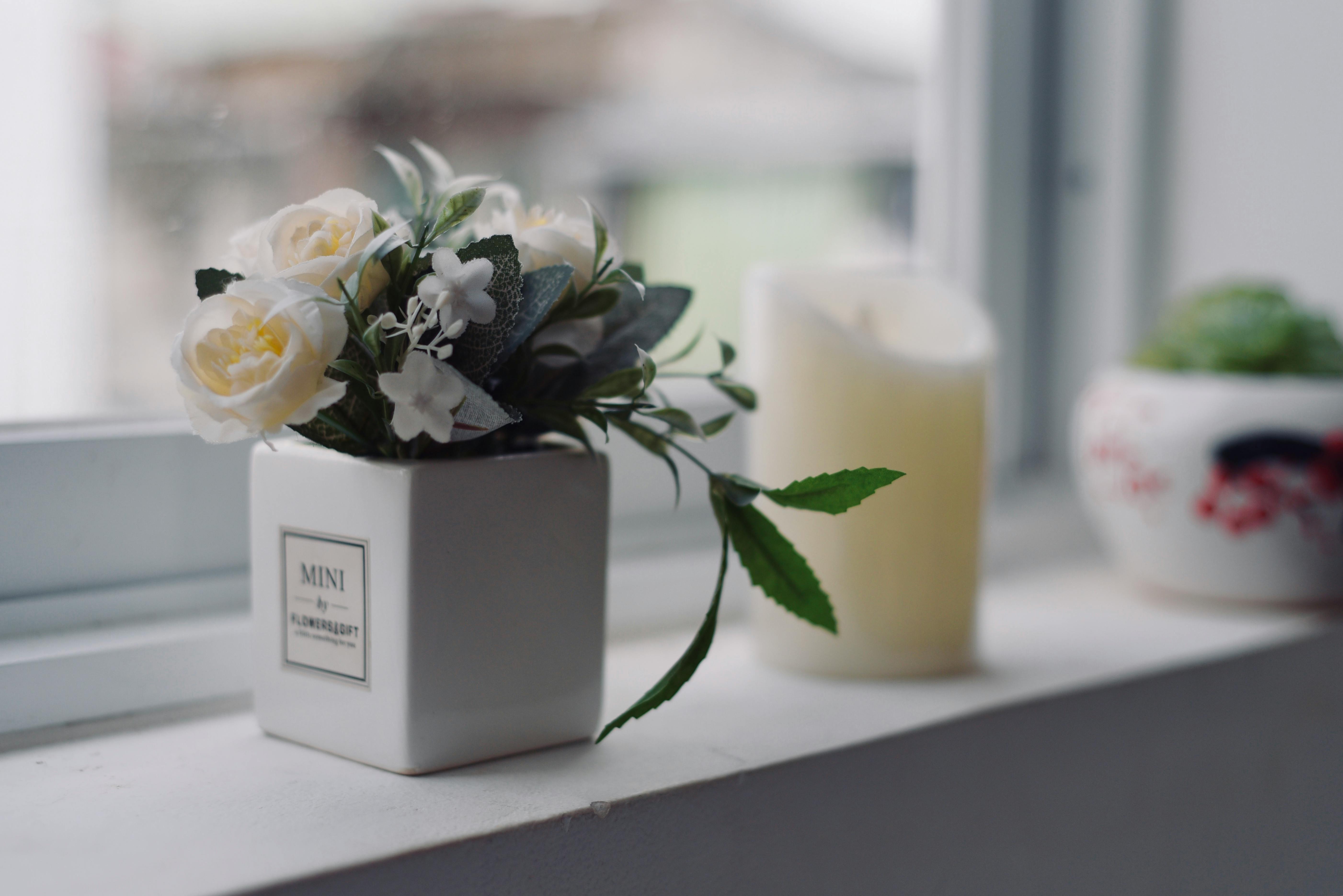 White Rose Decor Near Window · Free Stock Photo