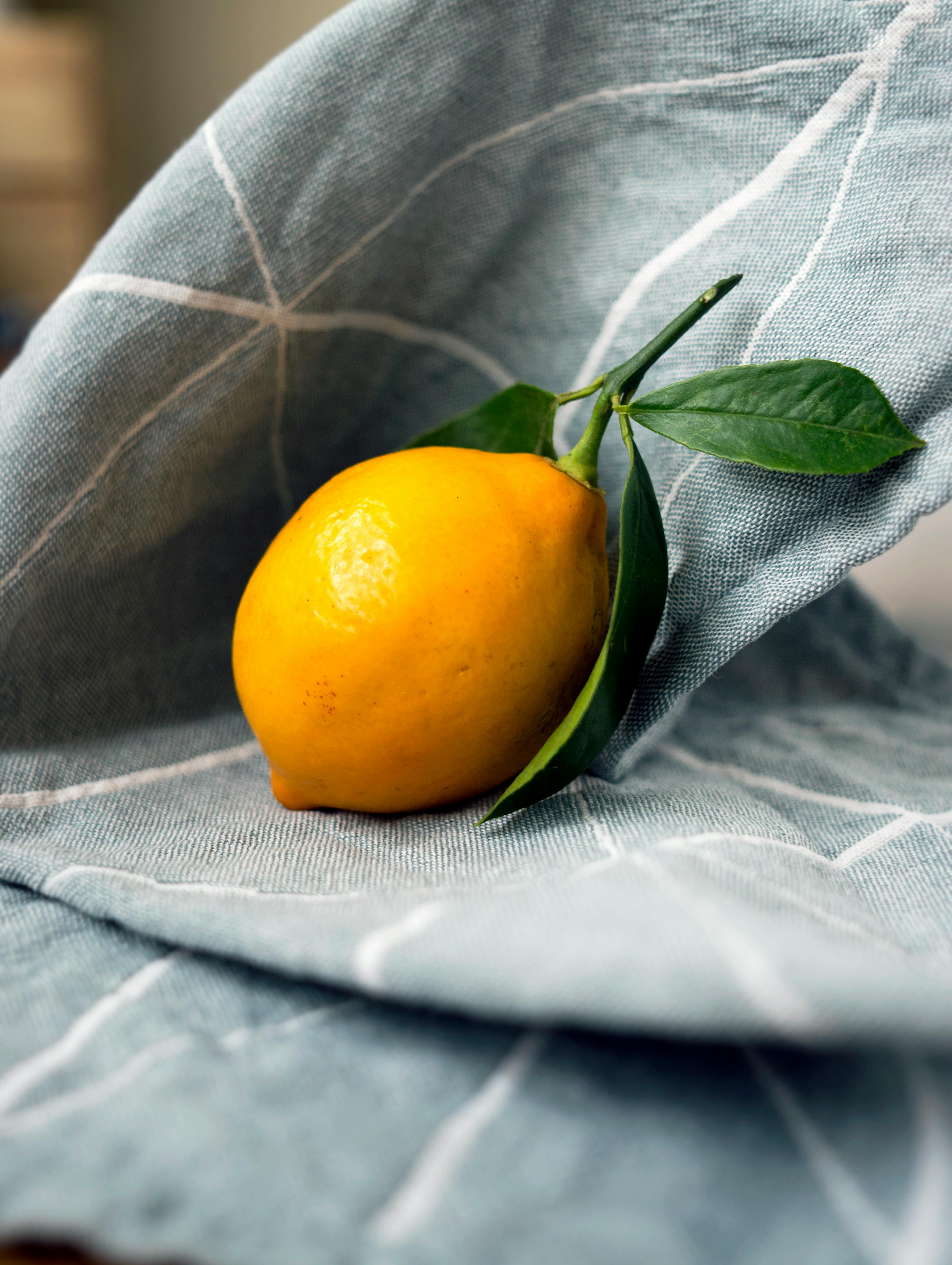 Giant Lemon Photos, Download The BEST Free Giant Lemon Stock Photos ...