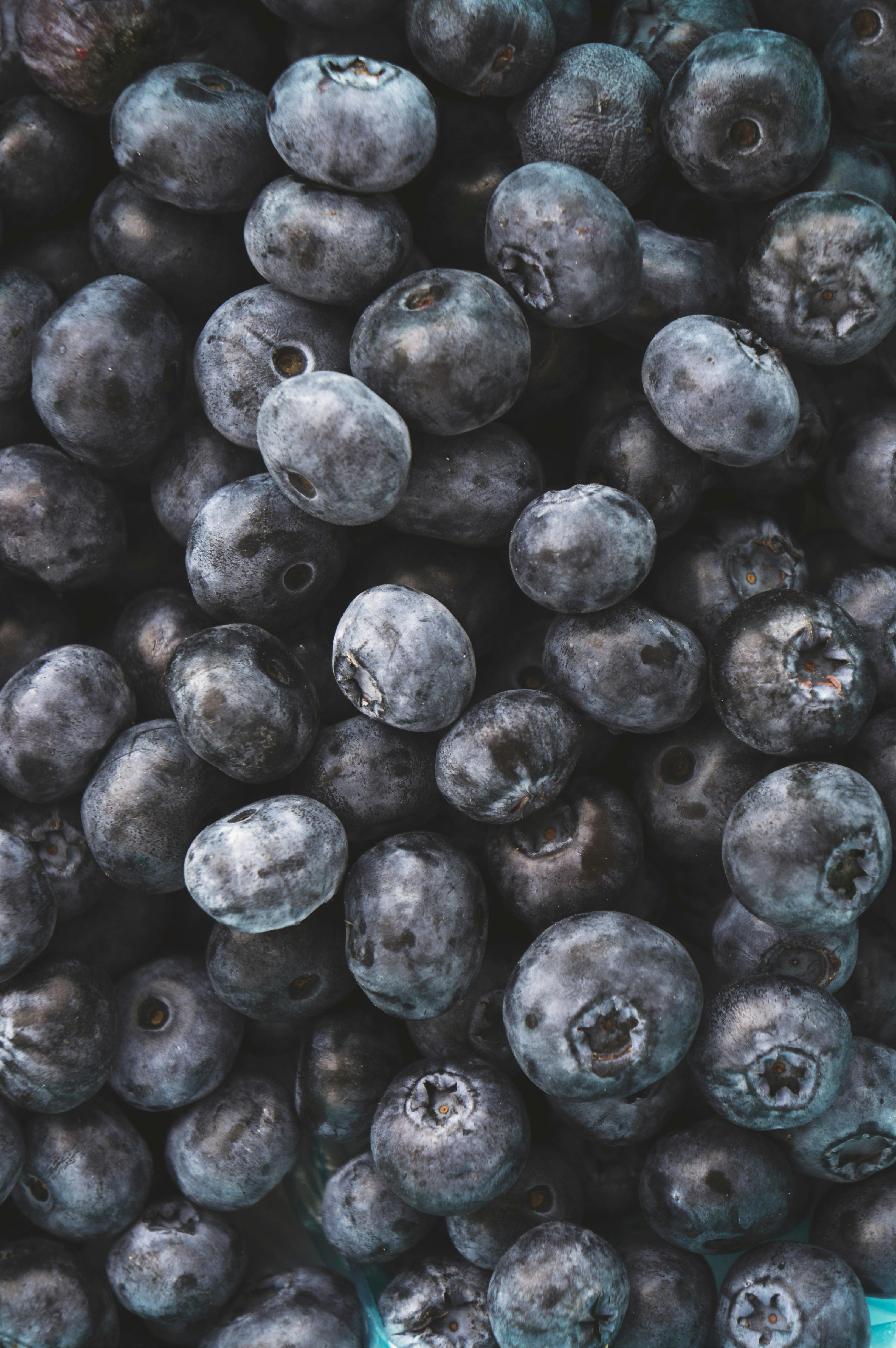 Foto de stock gratuita sobre abundancia, agricultura, antioxidantes ...