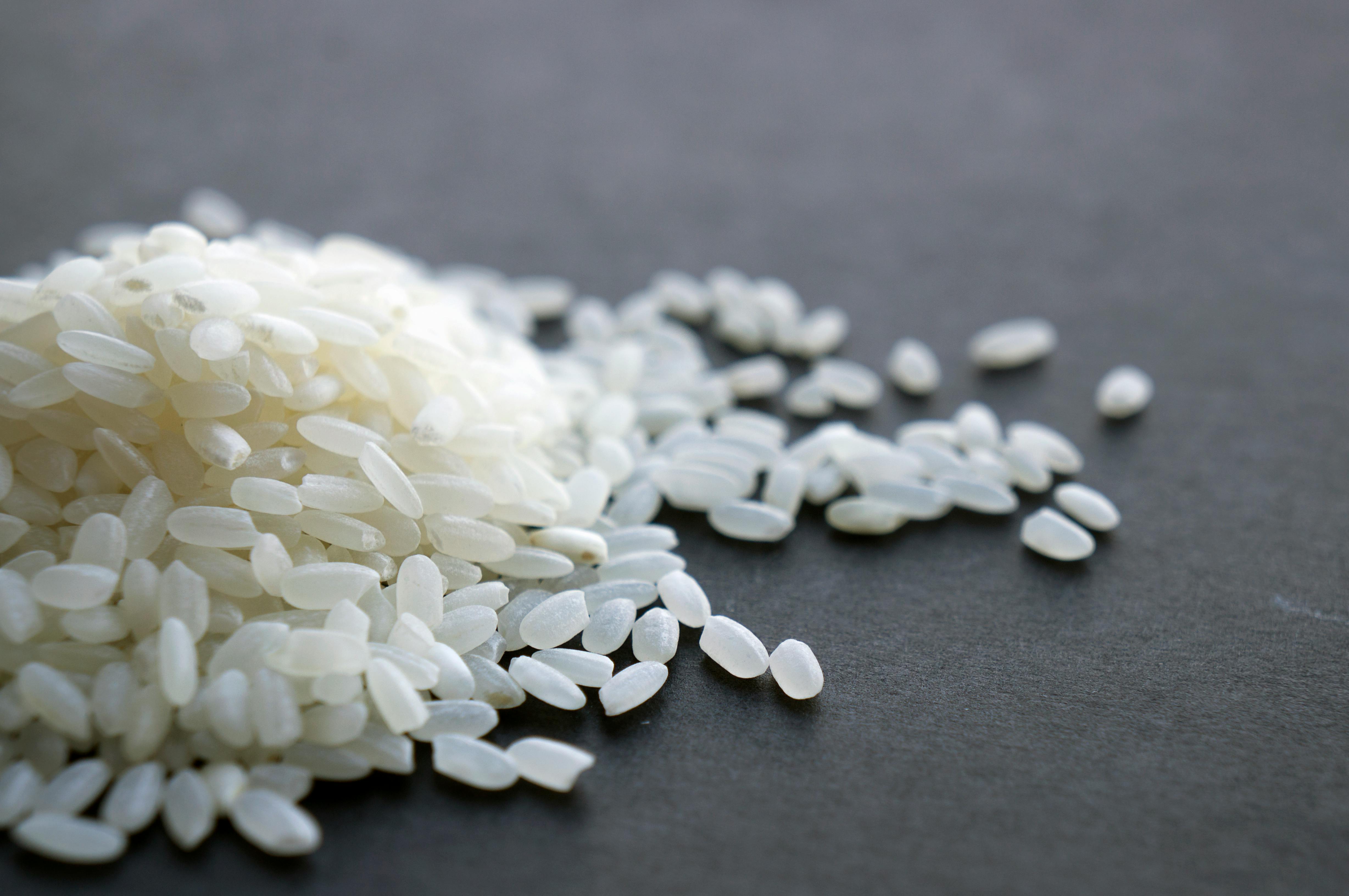 Close up of Rice · Free Stock Photo