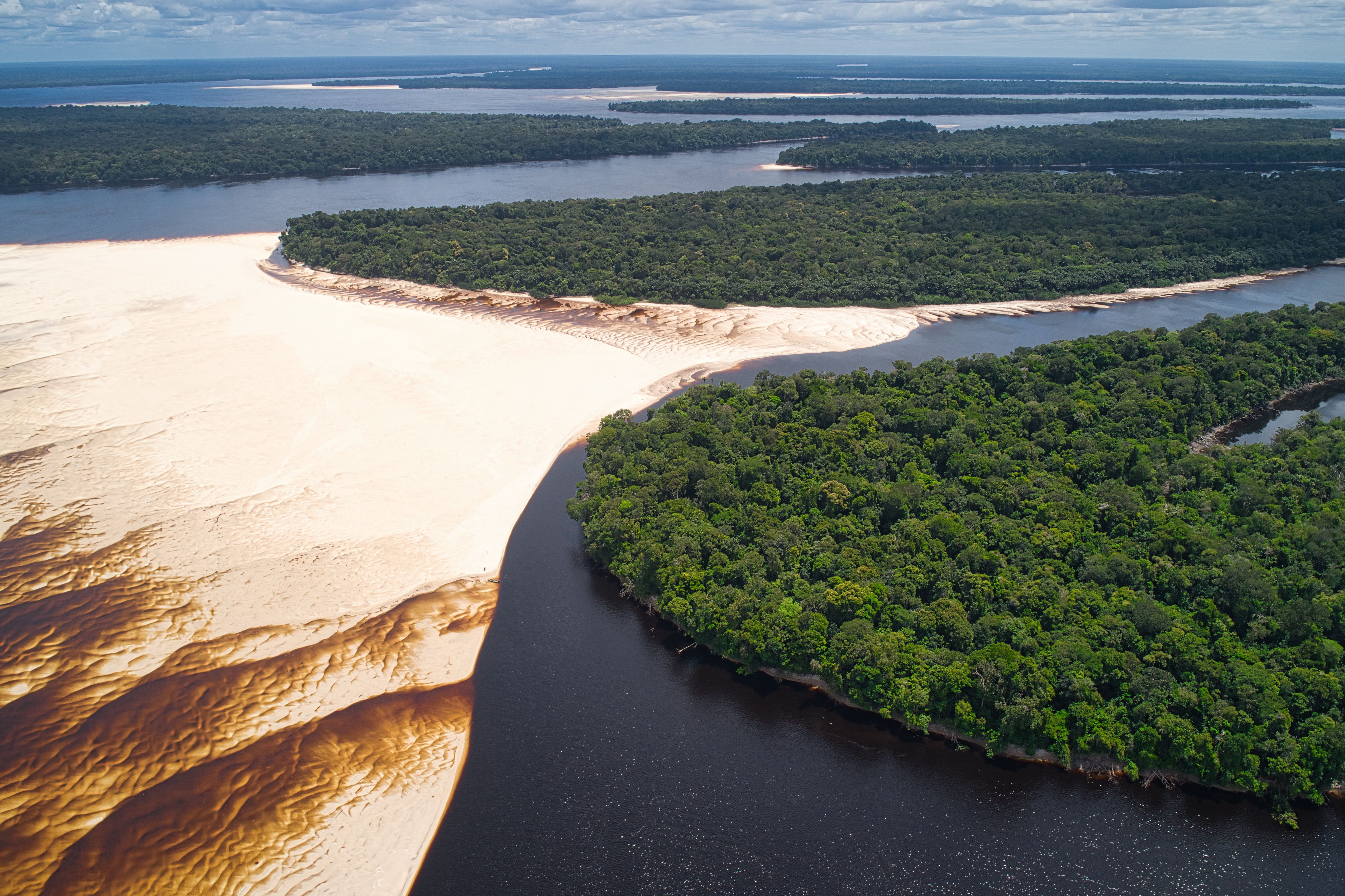 Forest and Sandbanks on Lake · Free Stock Photo