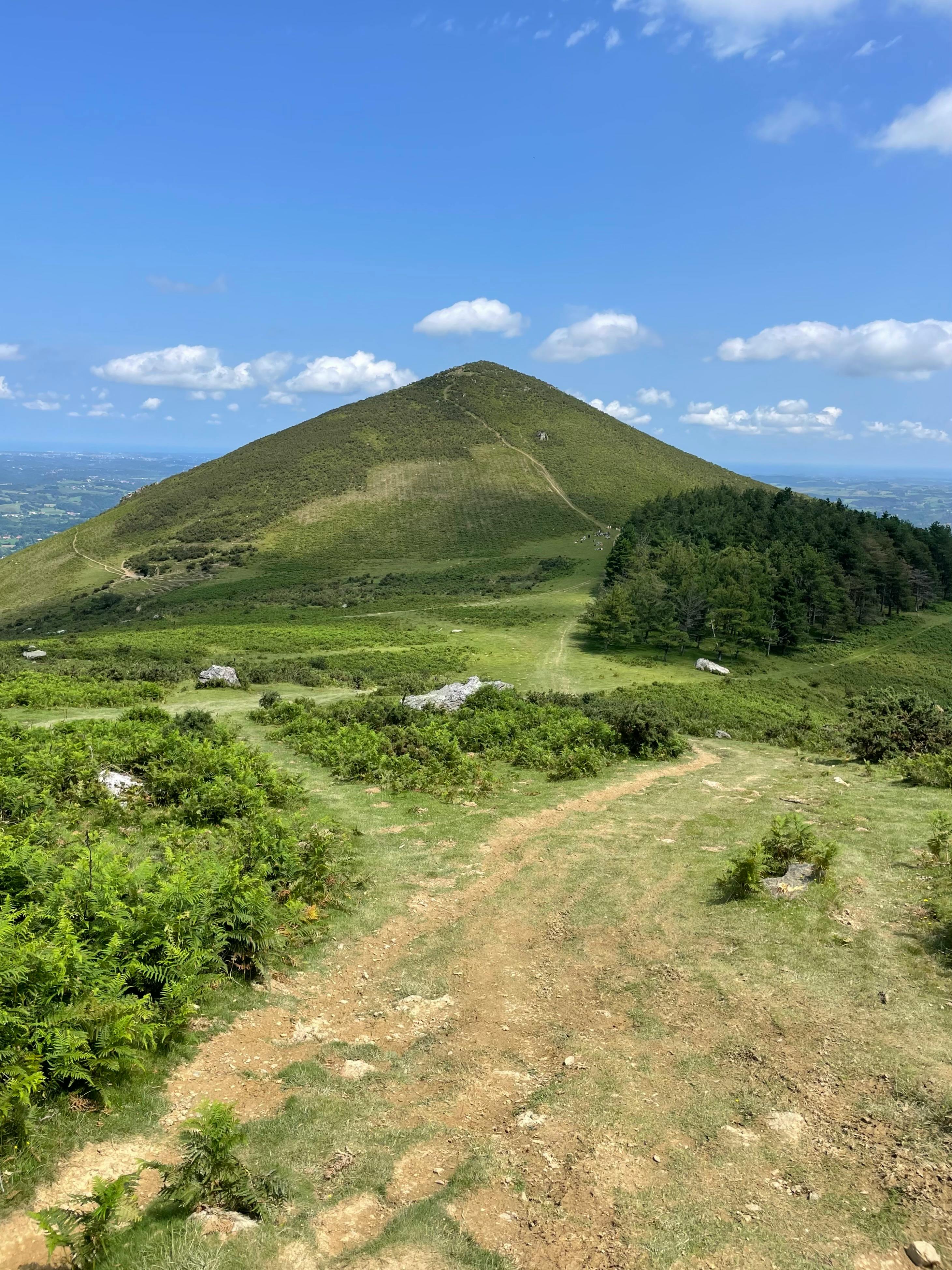 Green Mountain Painting · Free Stock Photo