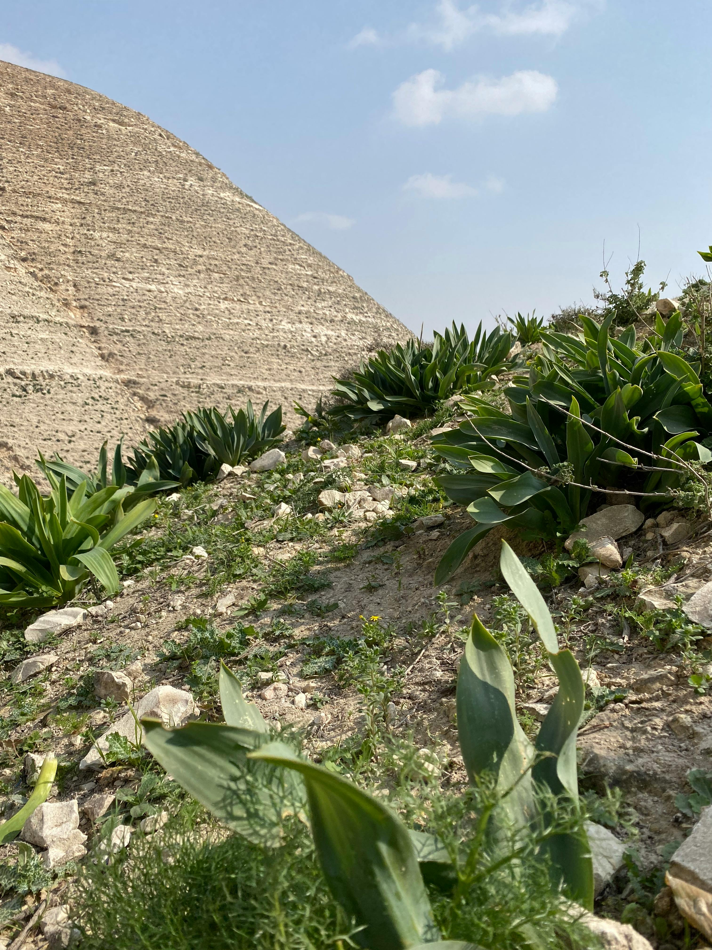 Loay AL Tamimi - Photography