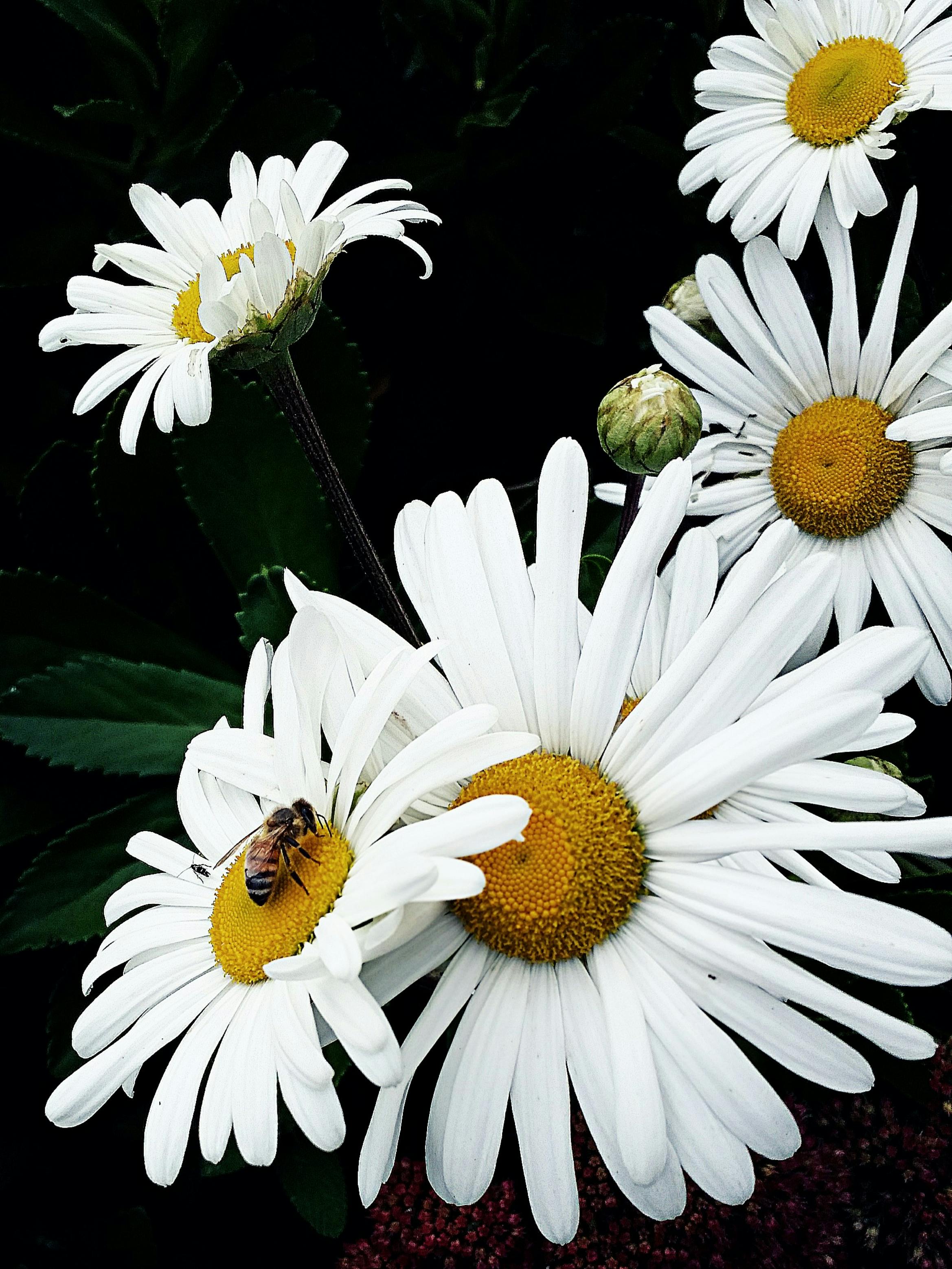 Nicolas Ray - Photography