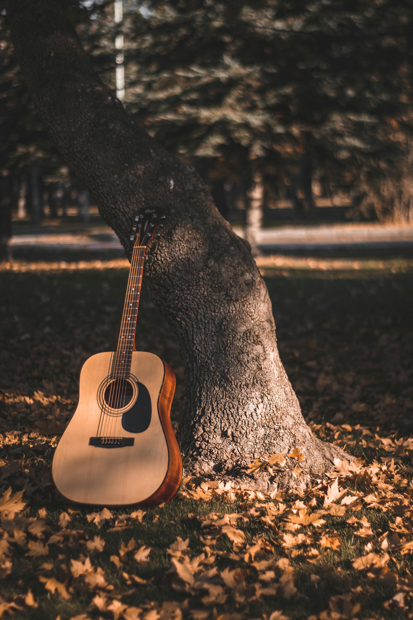 Guitar Landscape Photos, Download The BEST Free Guitar Landscape Stock ...