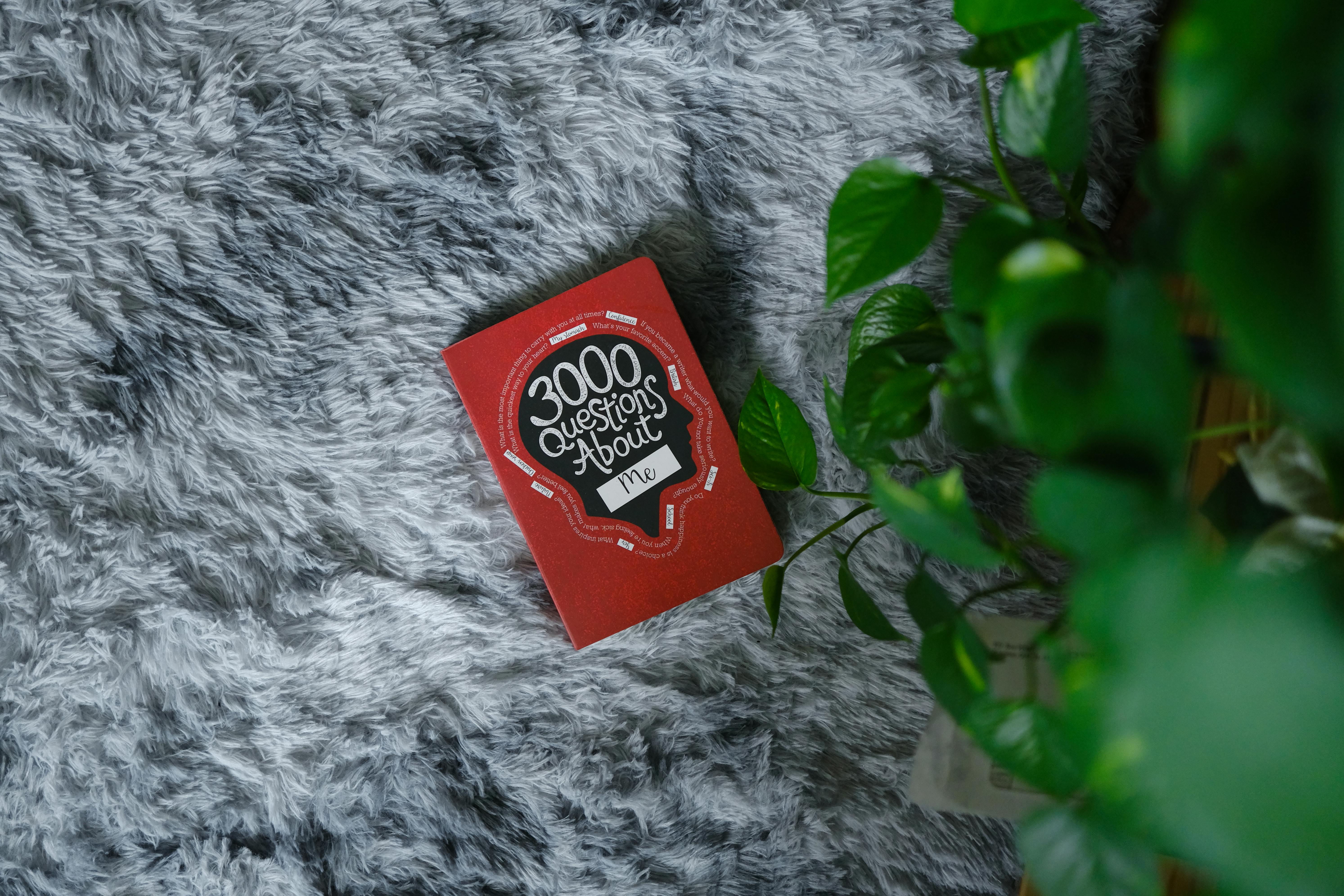 3000 Questions About Me · Free Stock Photo