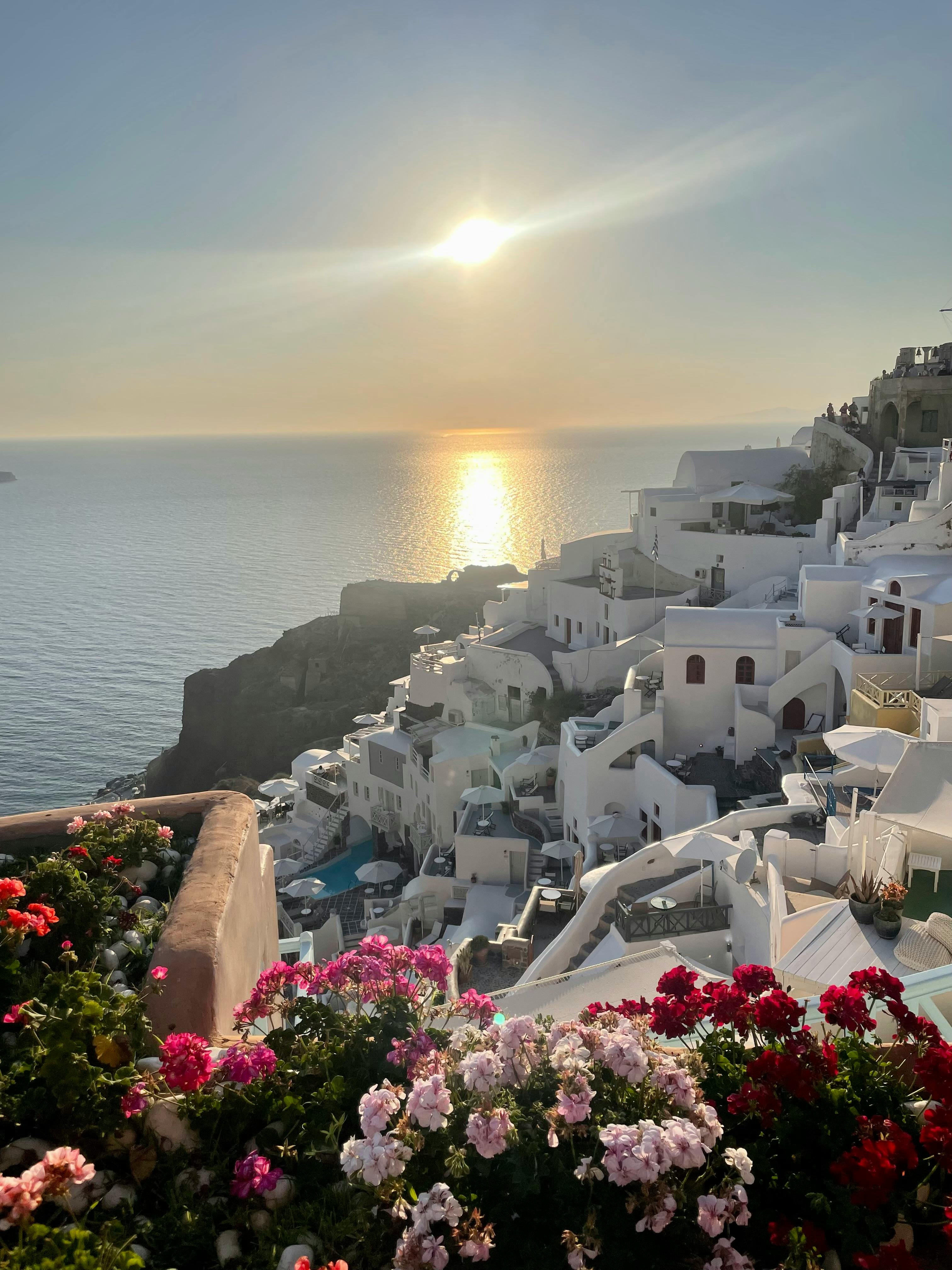 Ilona Bixel - 摄影