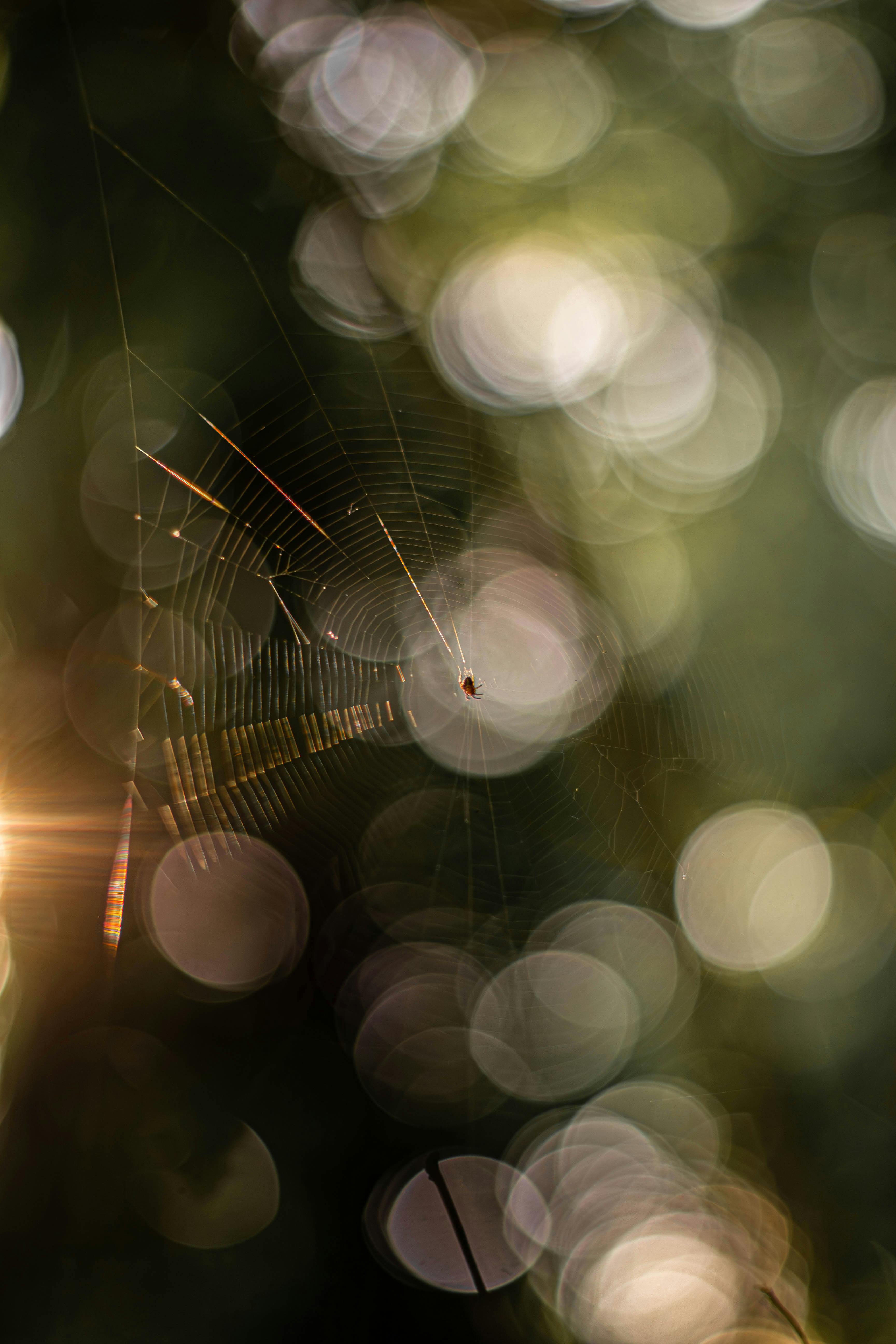 The Line Photos, Download The BEST Free The Line Stock Photos & HD Images