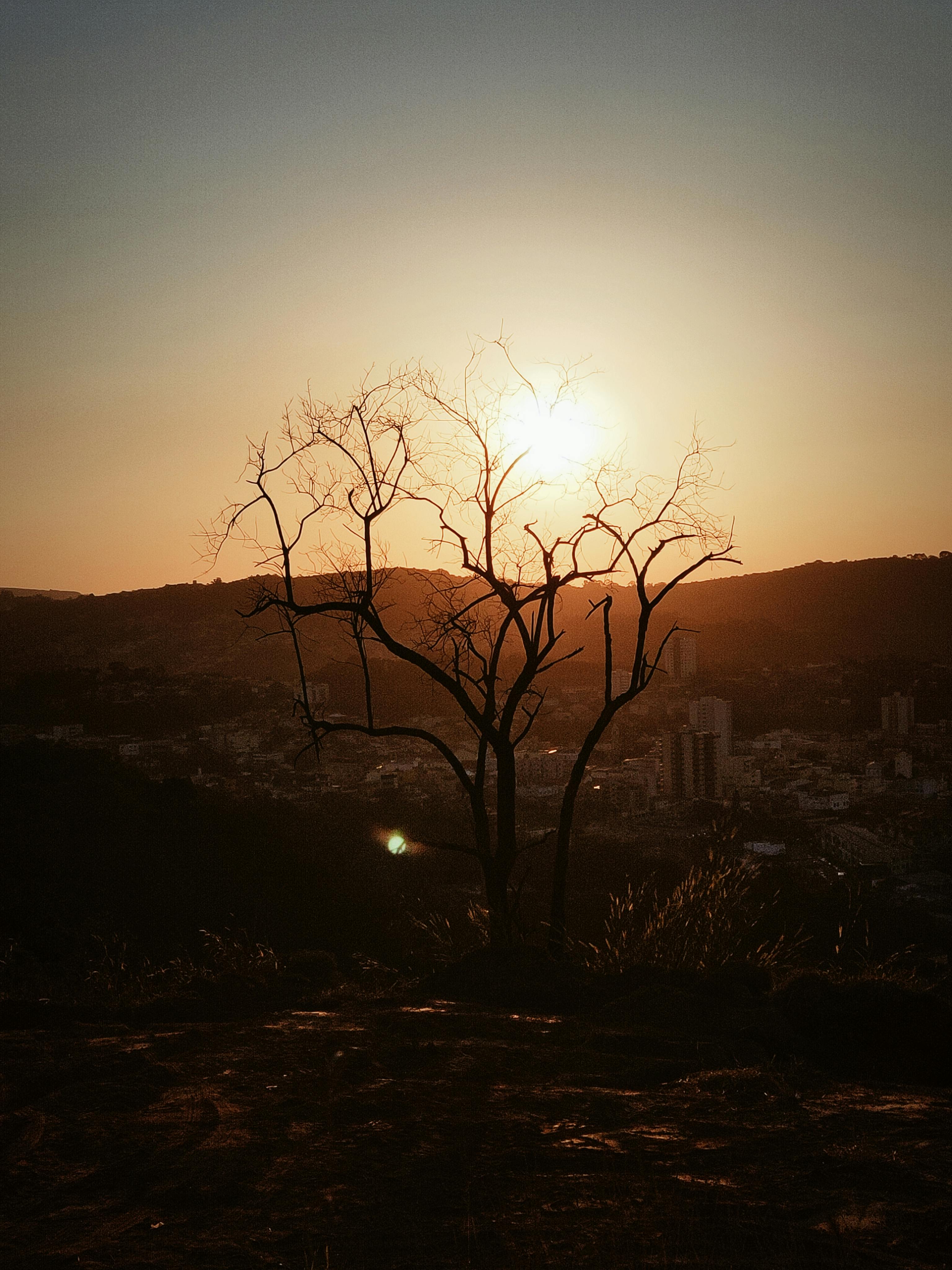 Daniel Bertoli – Fotografia