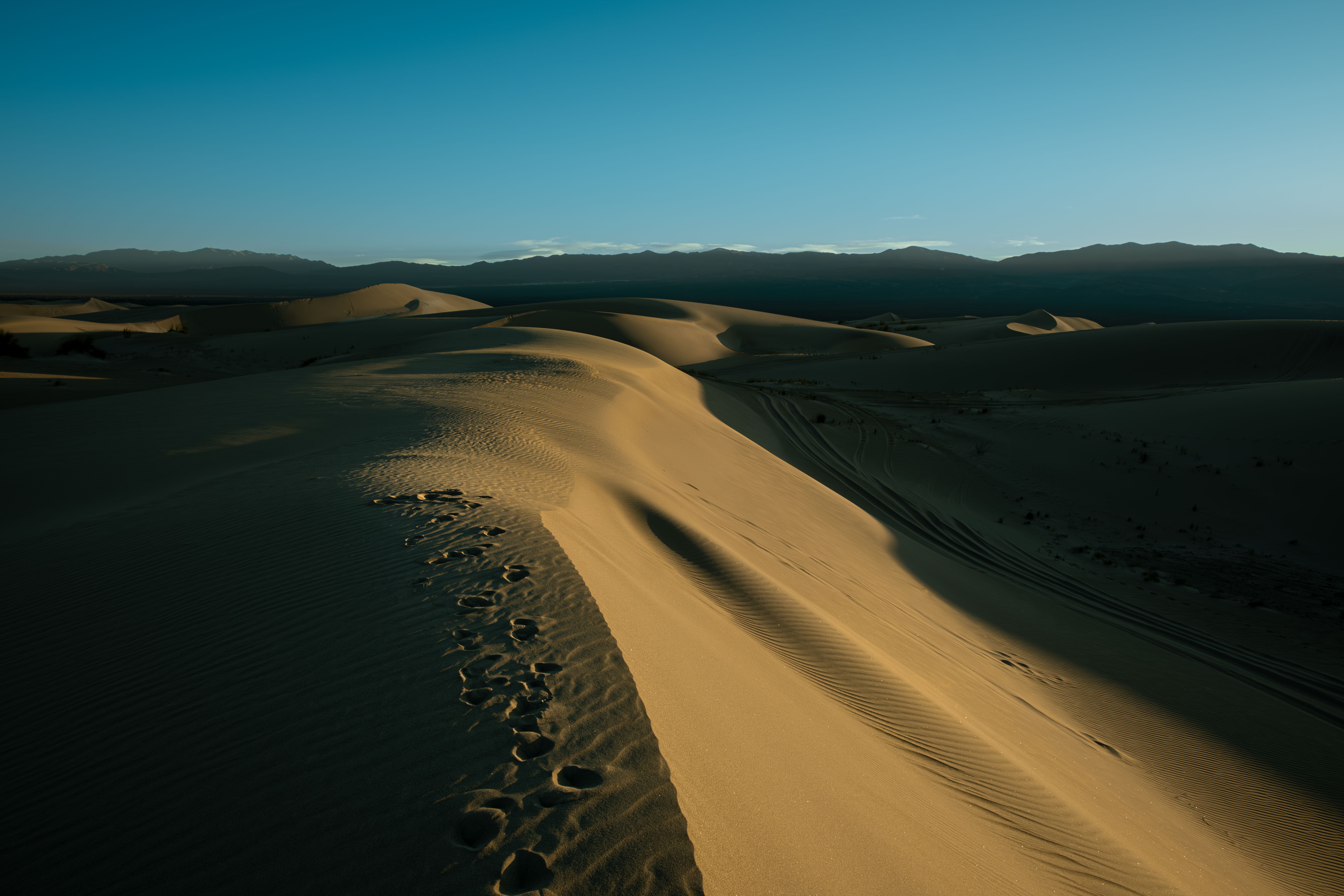 Shadows Cast on Sand Dunes in Desert · Free Stock Photo