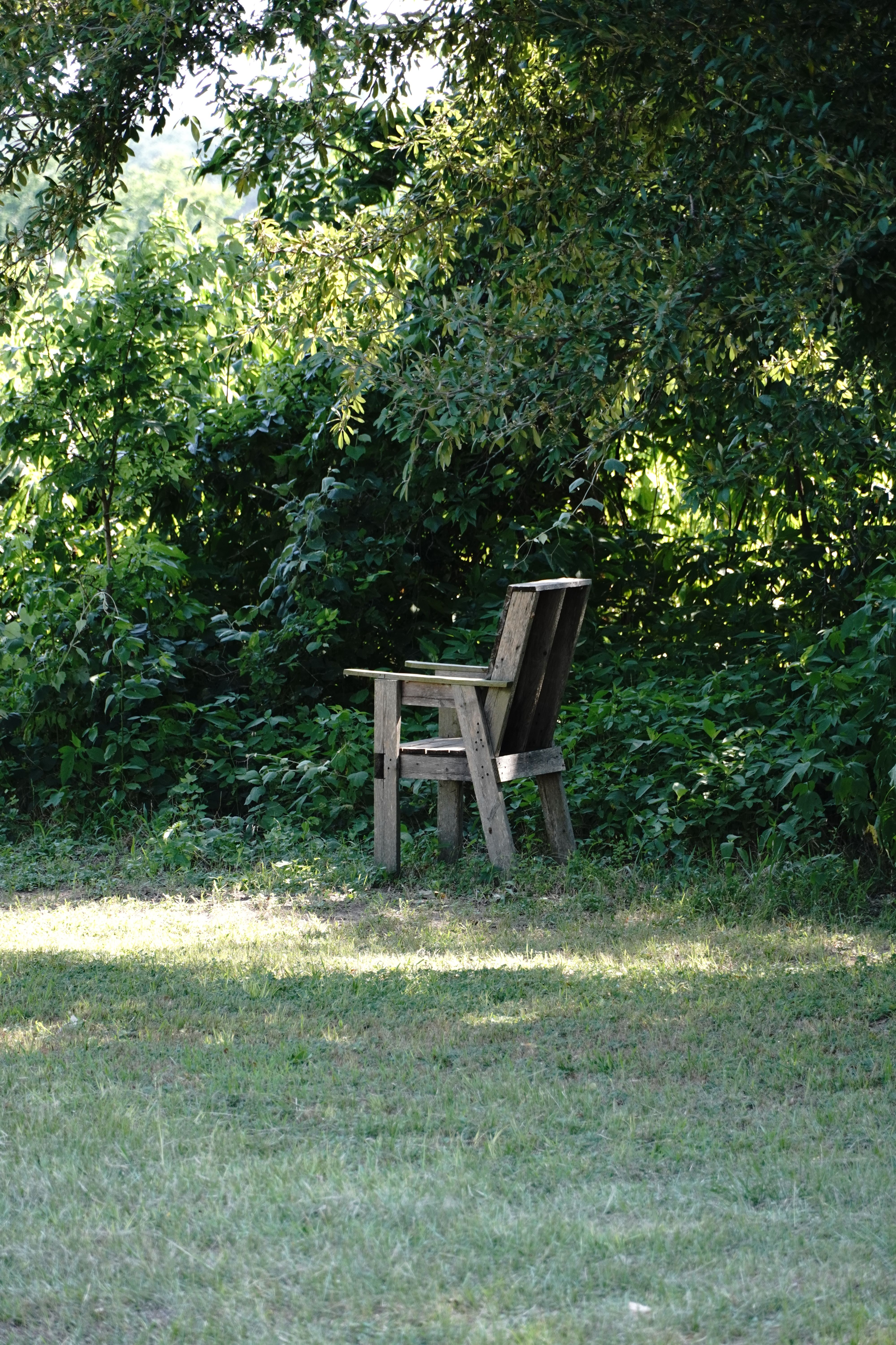 View of a Wooden Chair Standing on the Grass near Shrubs · Free Stock Photo
