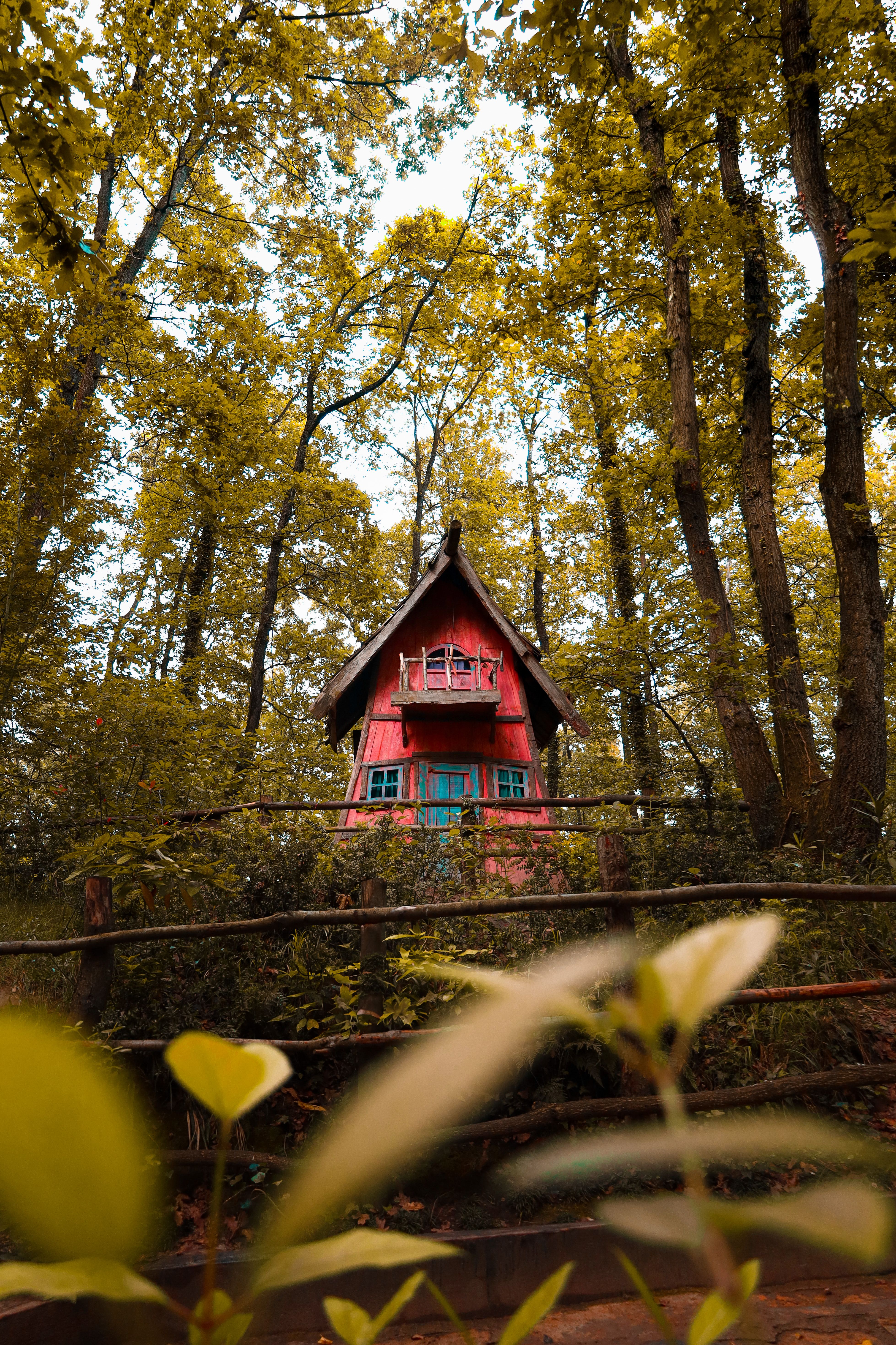 Tree House Wallpaper' Photos, Download The BEST Free Tree House ...