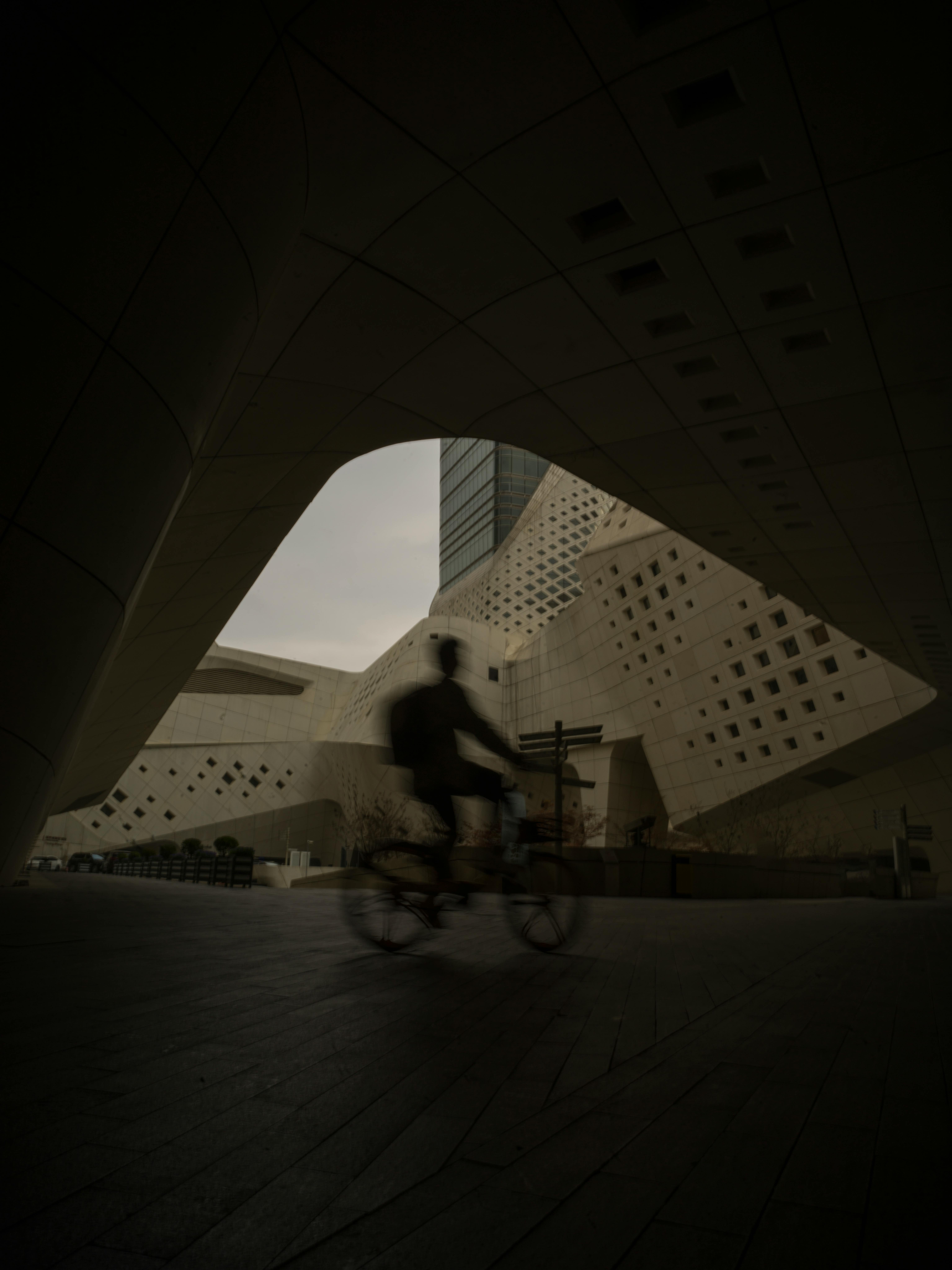 Man Riding a Bike in Motion · Free Stock Photo