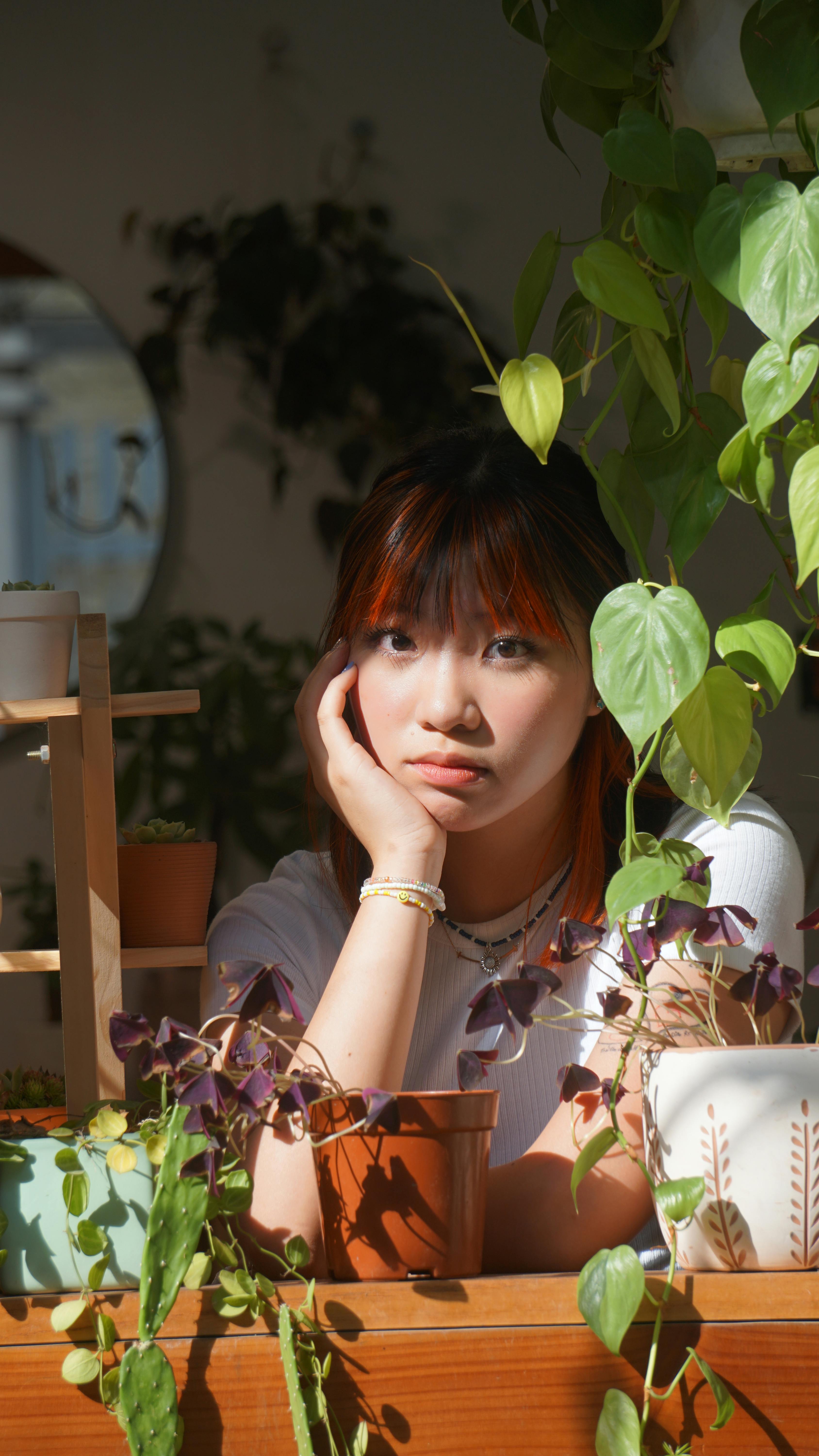 Liblary Room Photos, Download The BEST Free Liblary Room Stock Photos ...