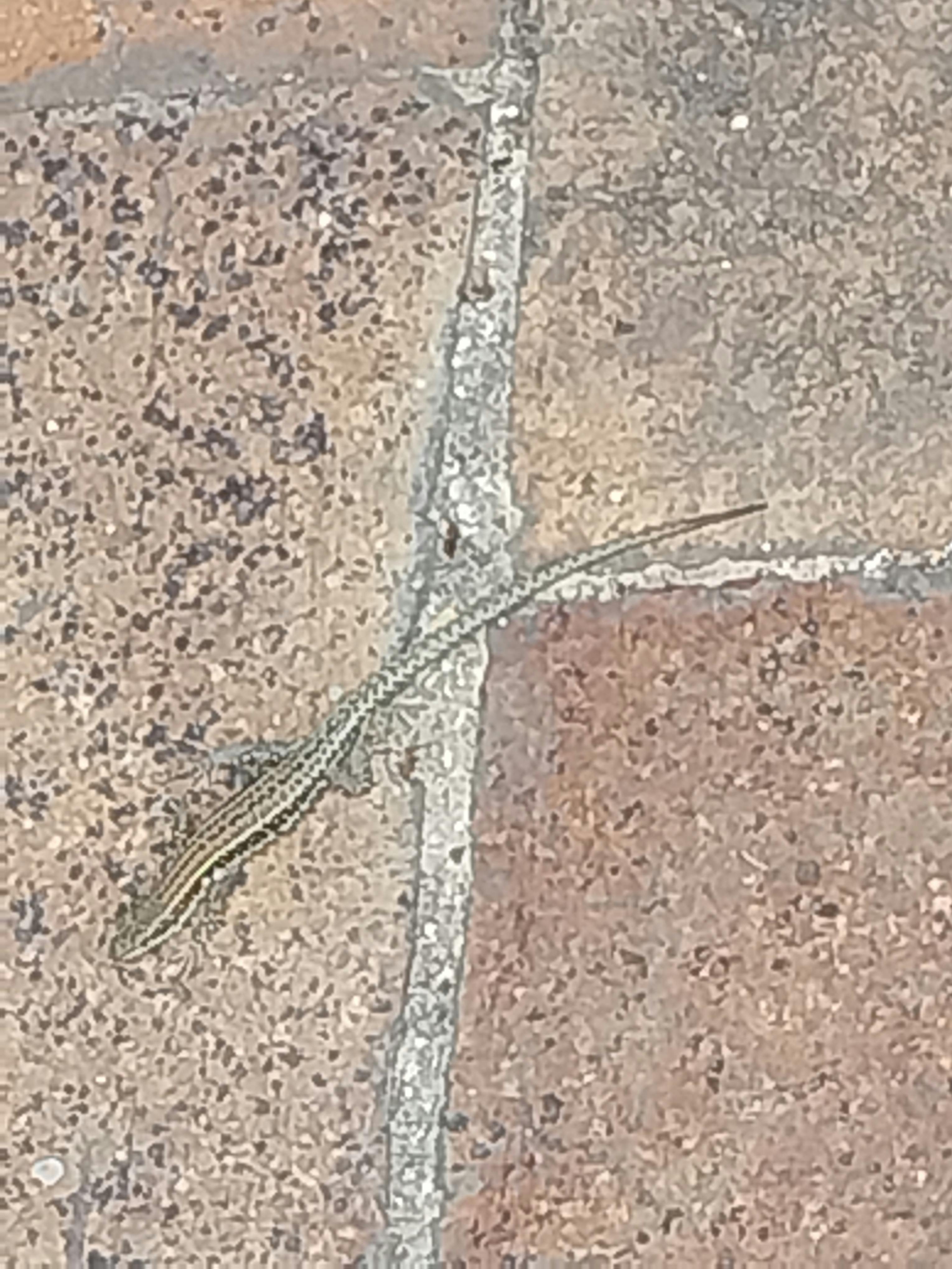 Marc Marken - Photography