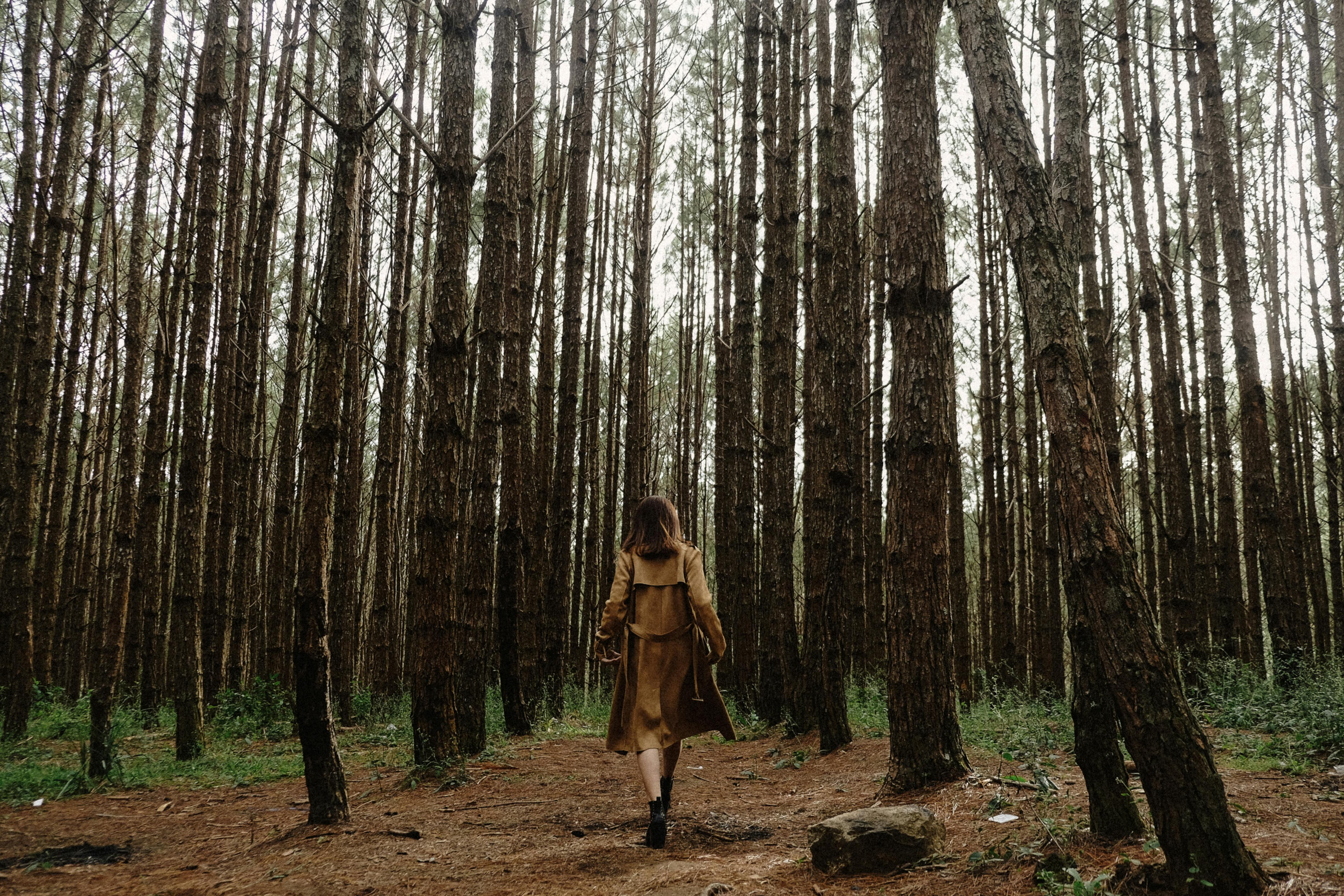 Woman In The Middle Of Forest · Free Stock Photo