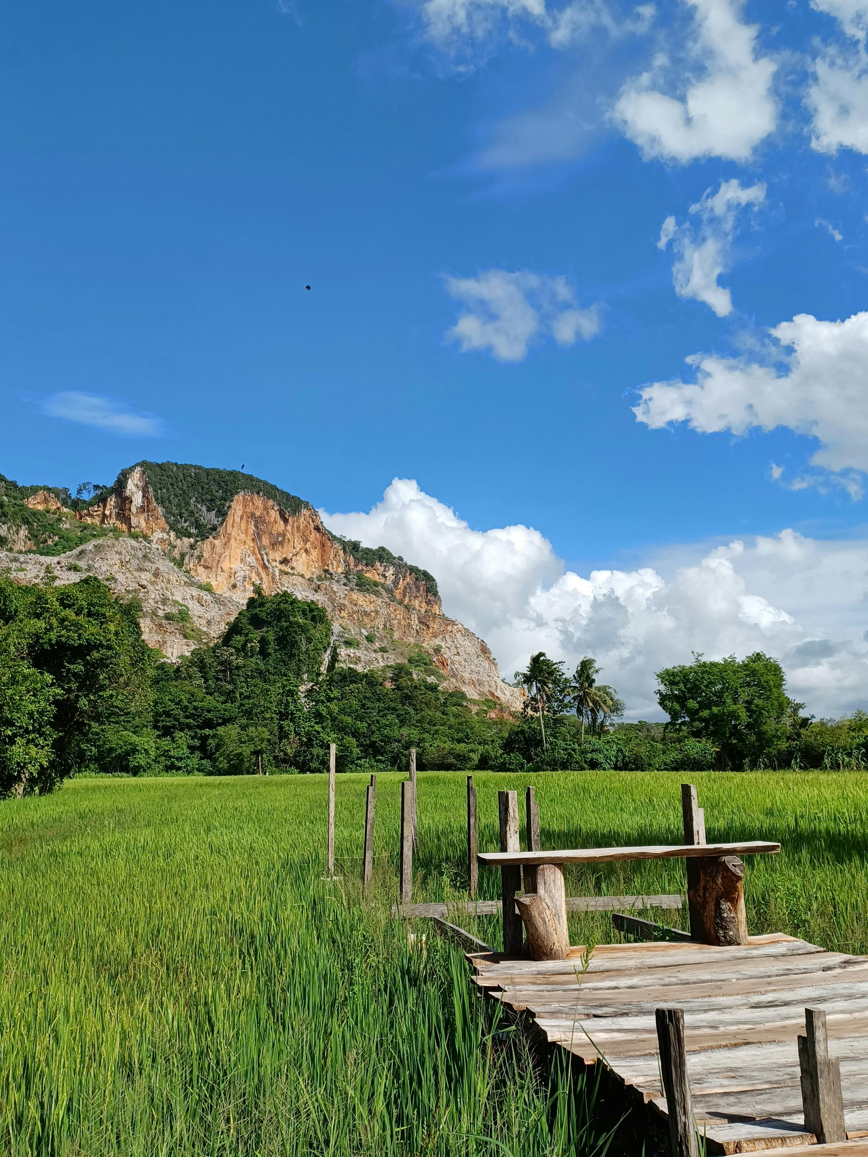 Damaged Wooden Footpath on Grassland in Countryside · Free Stock Photo