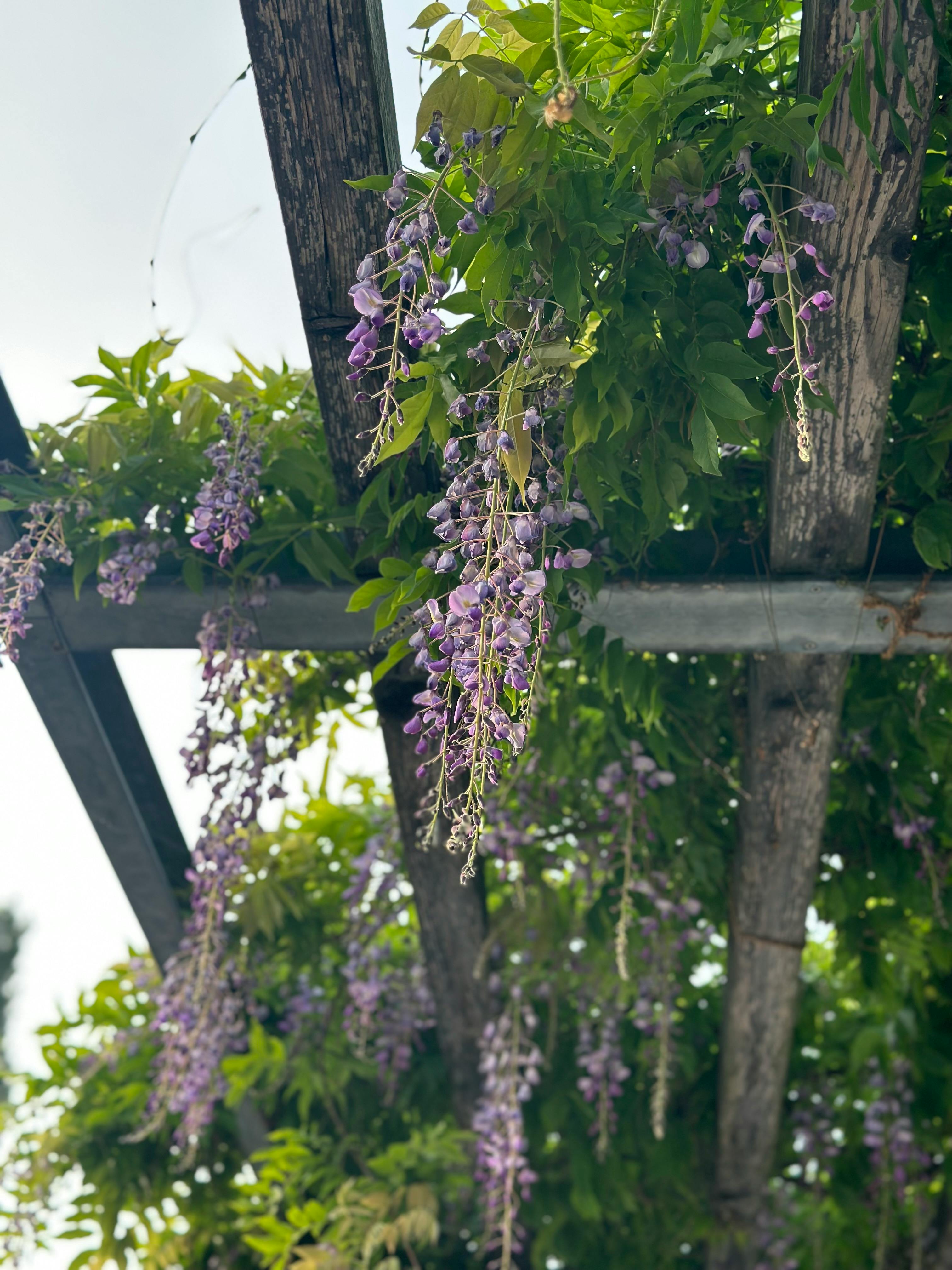 Aesthetics Life - Photography