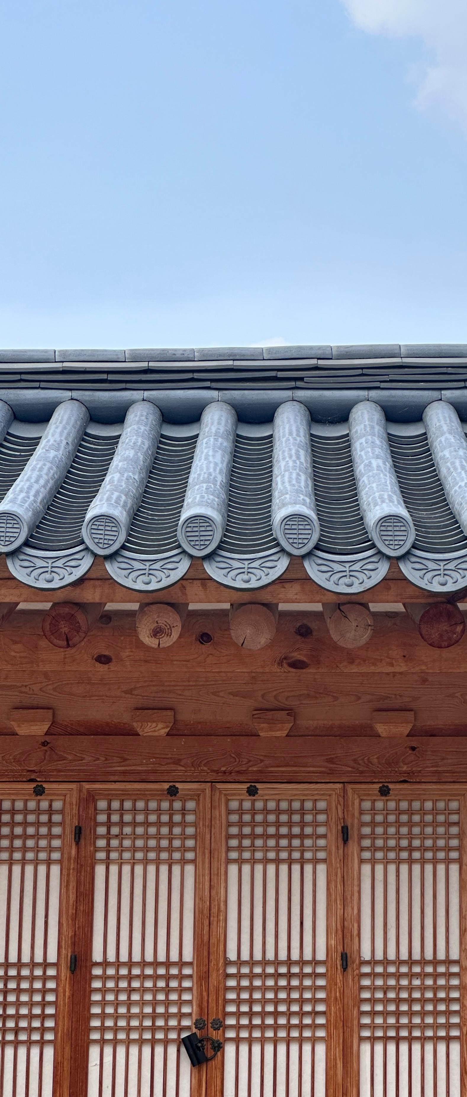 Jen Lee — Фотография