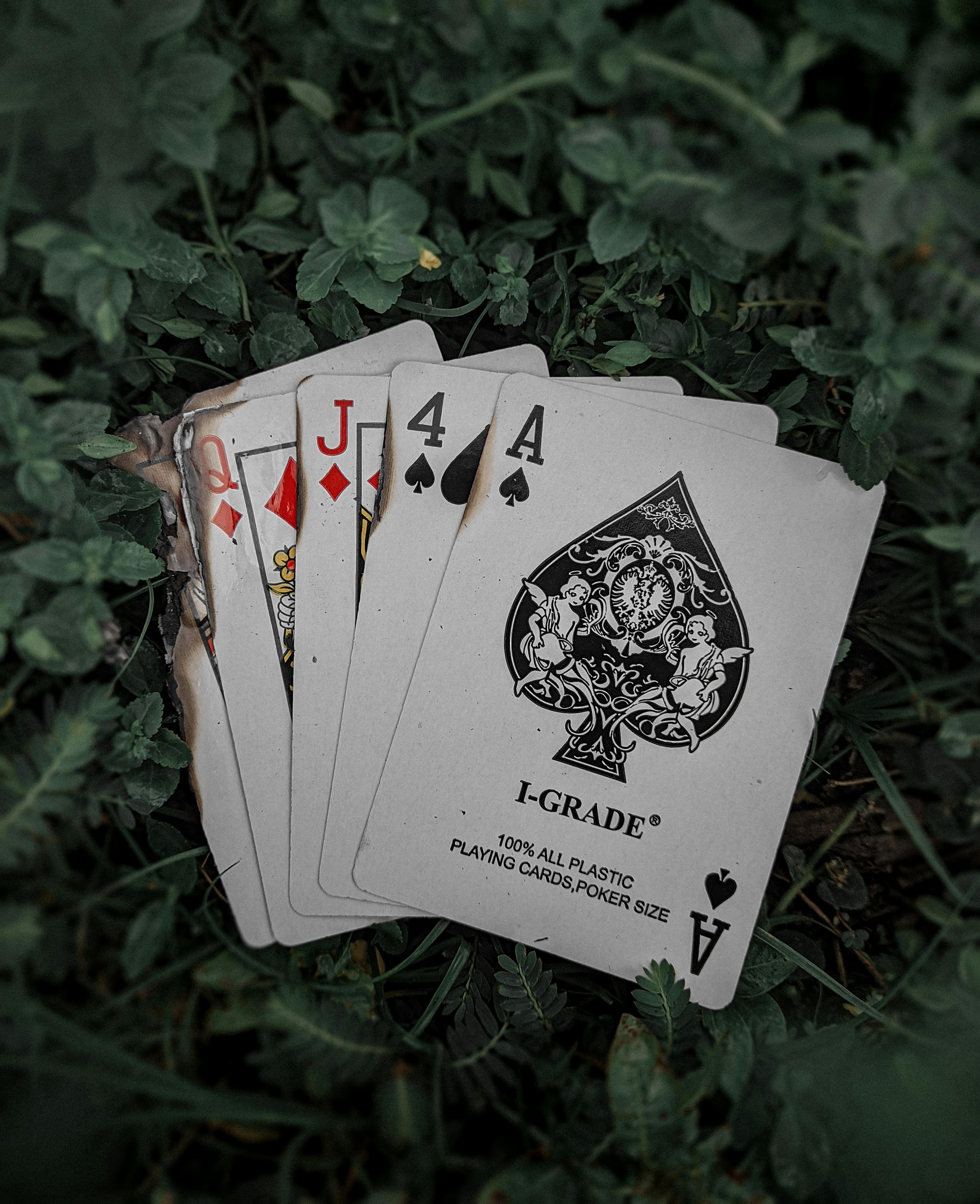 Foto profissional gratuita de ás, cartas, cartas de baralho, chão ...