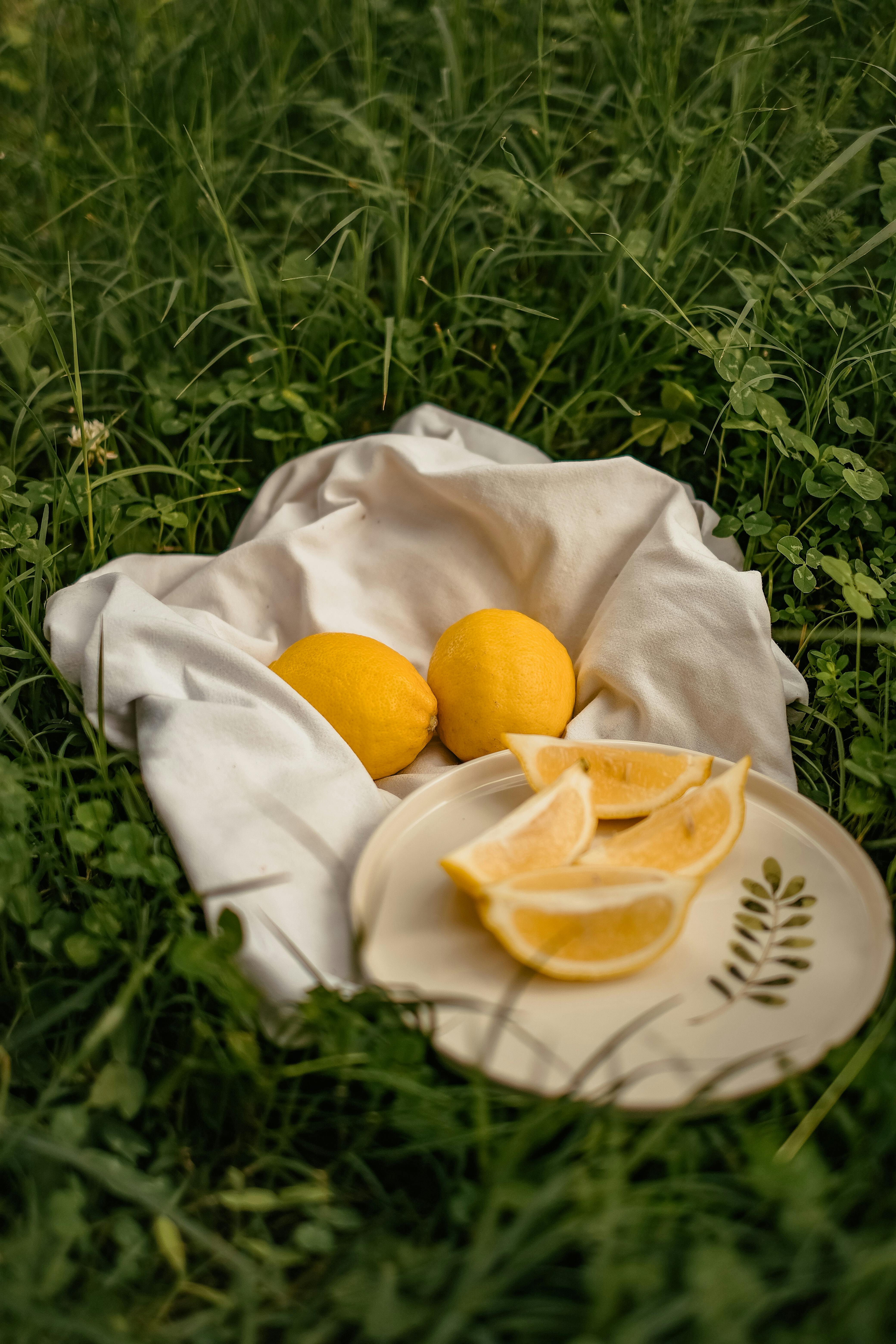 Lemons on Plate and Cloth · Free Stock Photo