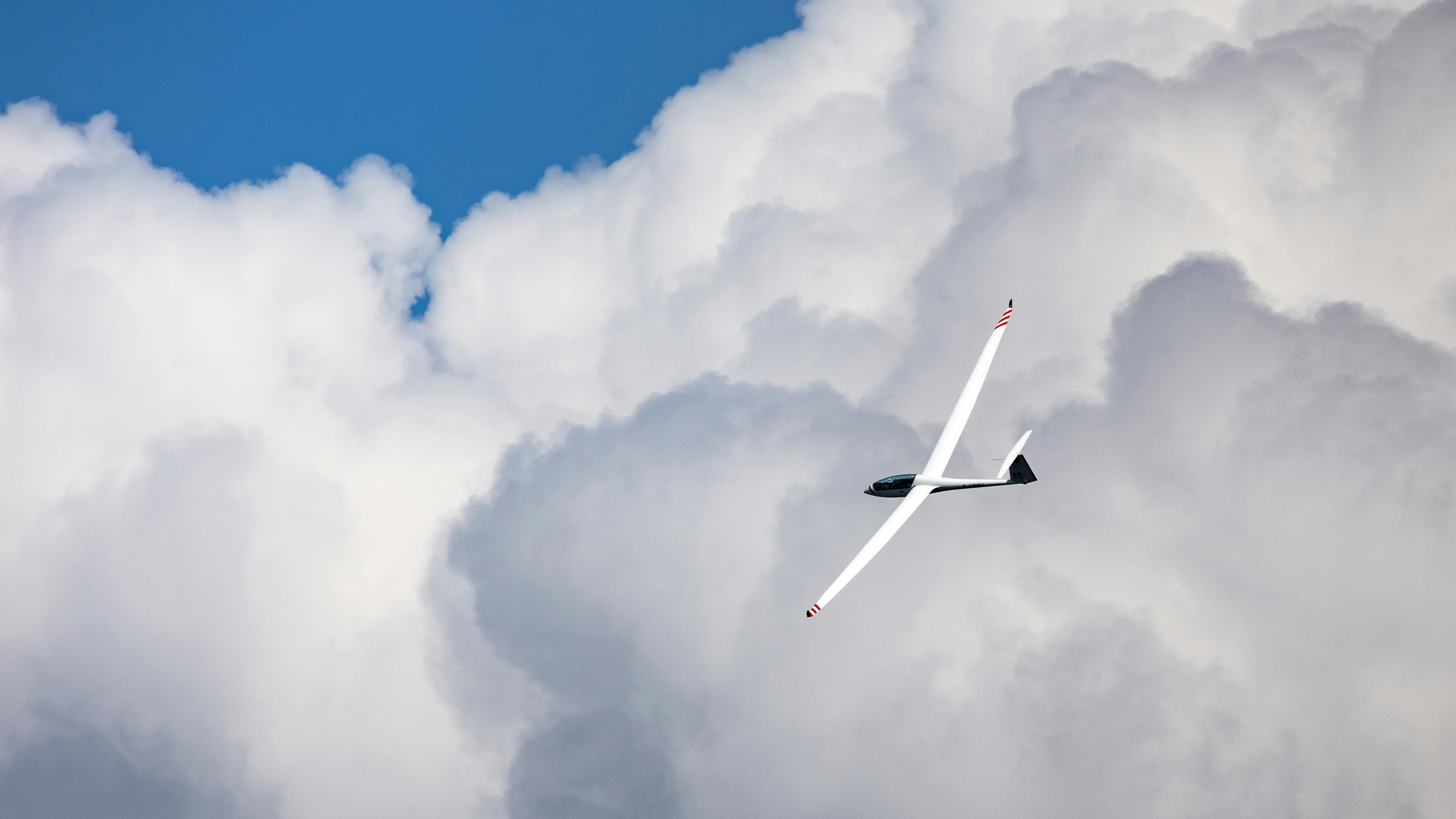 "Glider" · Free Stock Photo