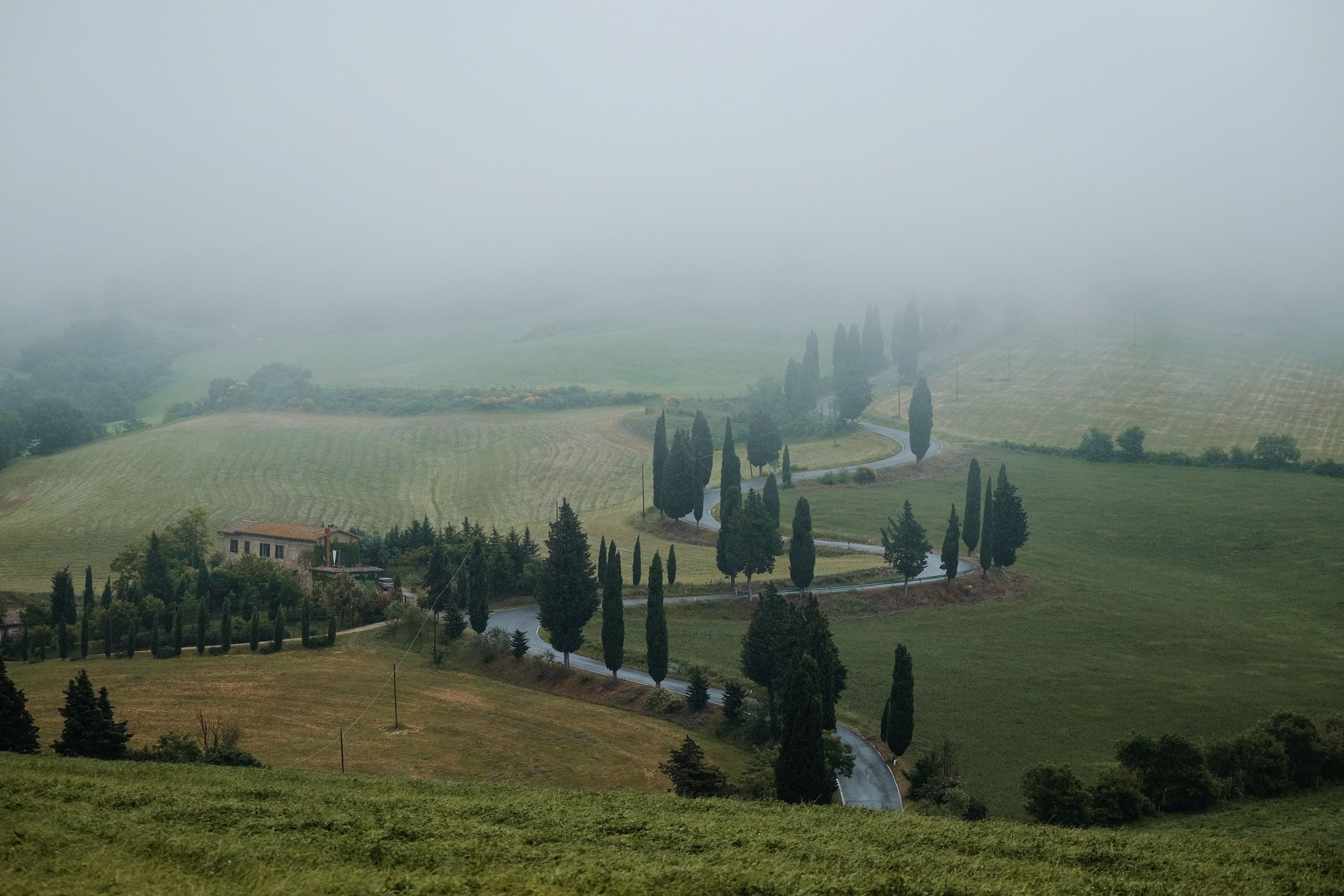 Cypresses Along the Serpent Road, Tuscany, Italy · Free Stock Photo