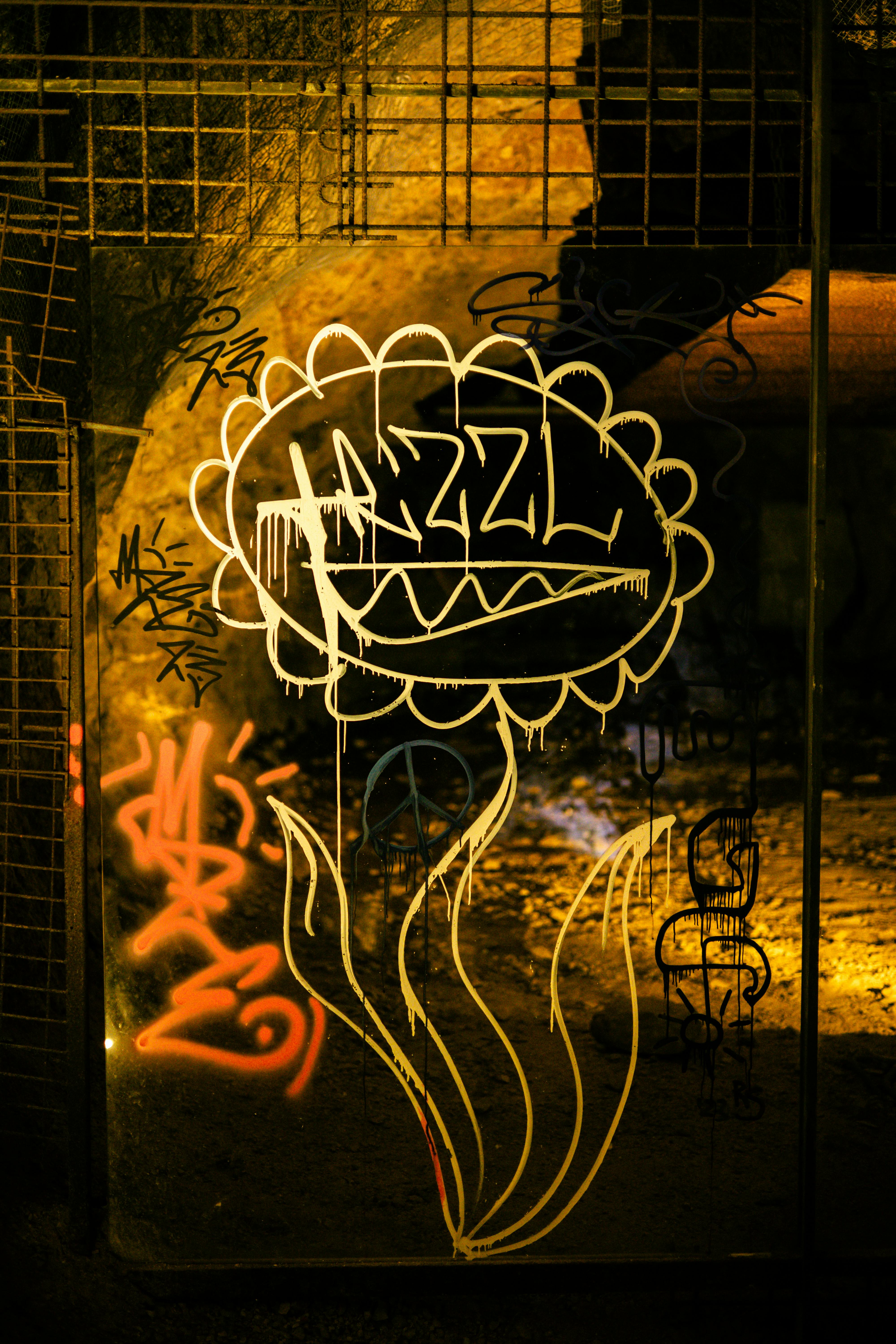 Graffiti on Glass · Free Stock Photo