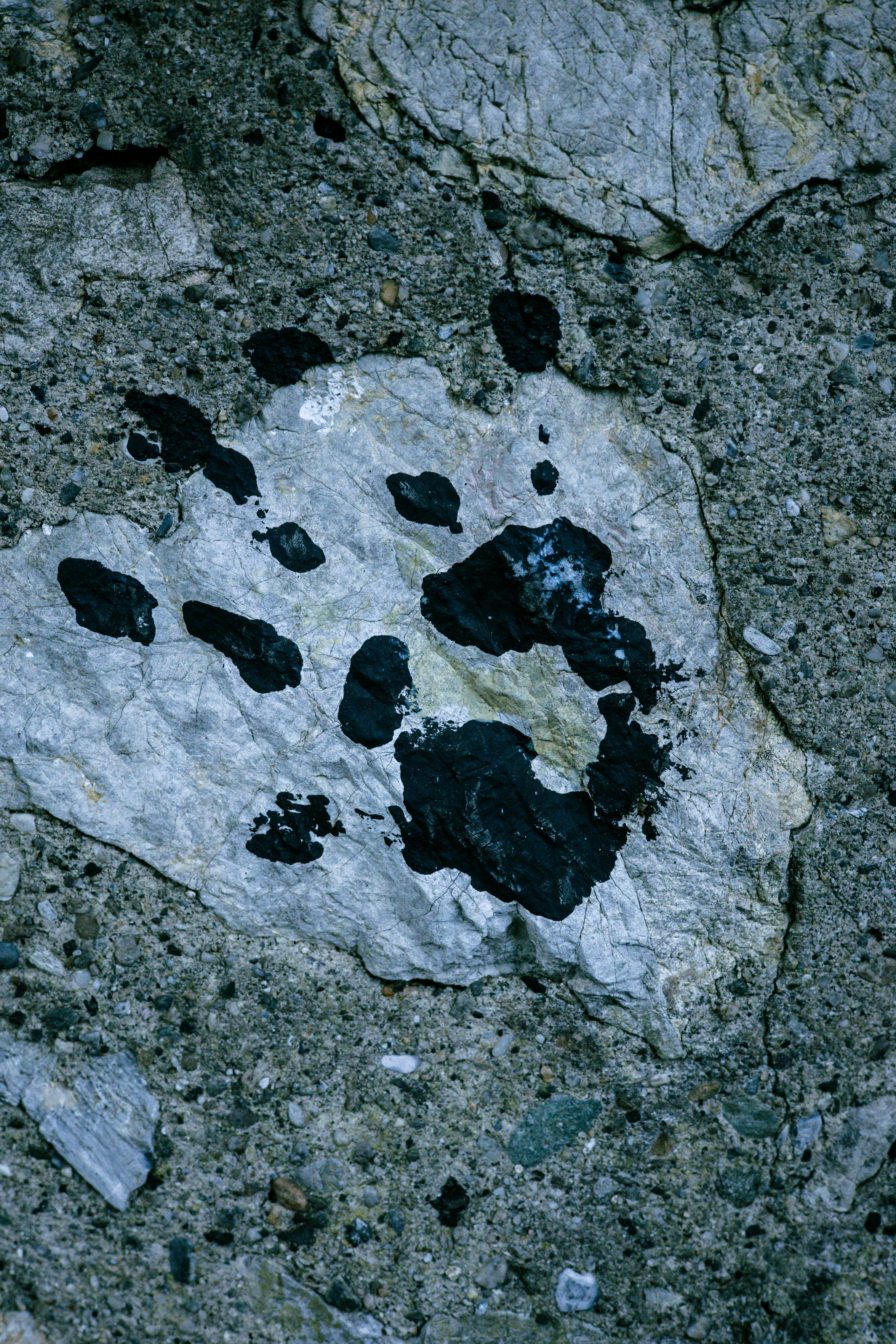Black Hand Trace on Stone · Free Stock Photo