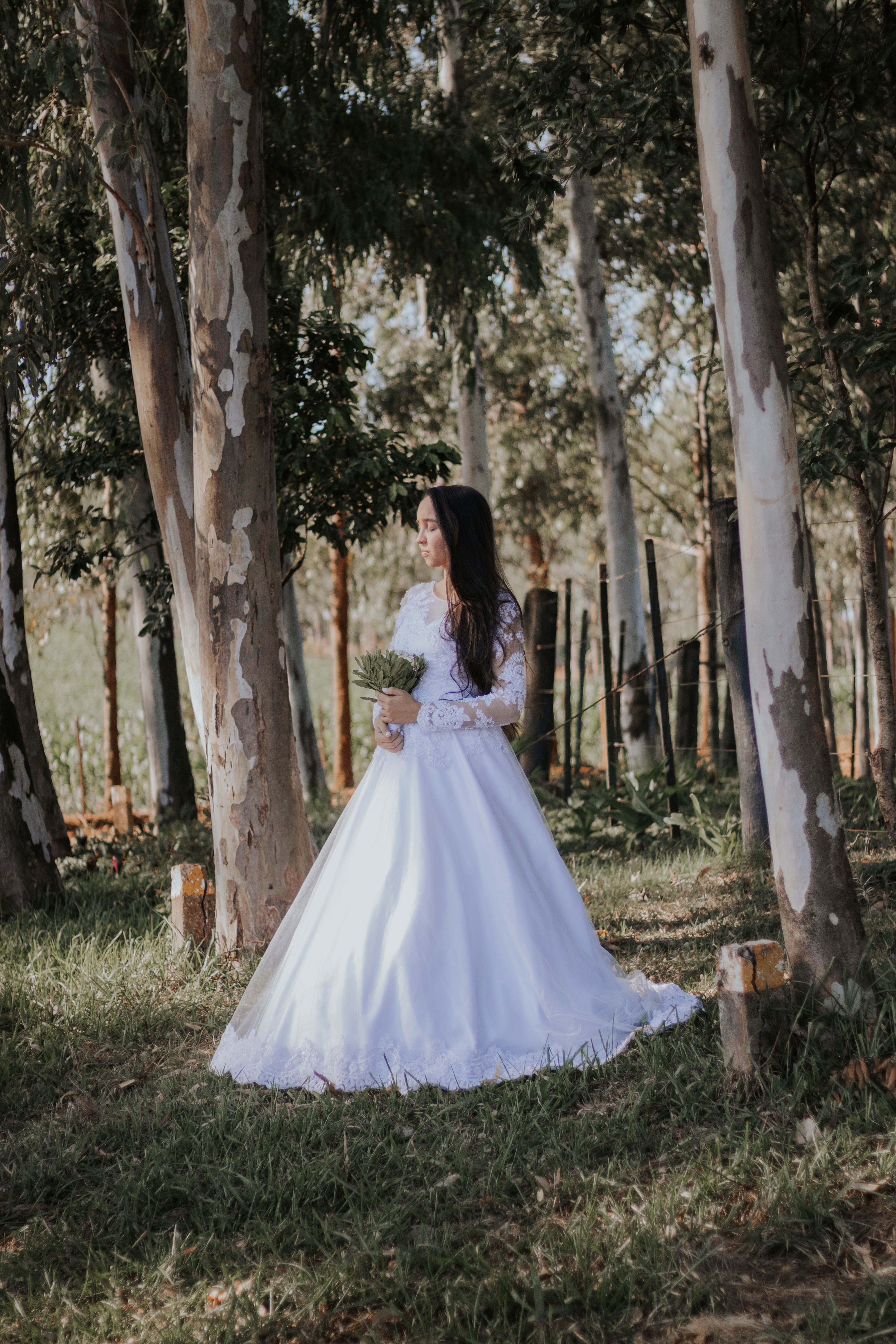 Forest Bride Photos, Download The BEST Free Forest Bride Stock Photos ...