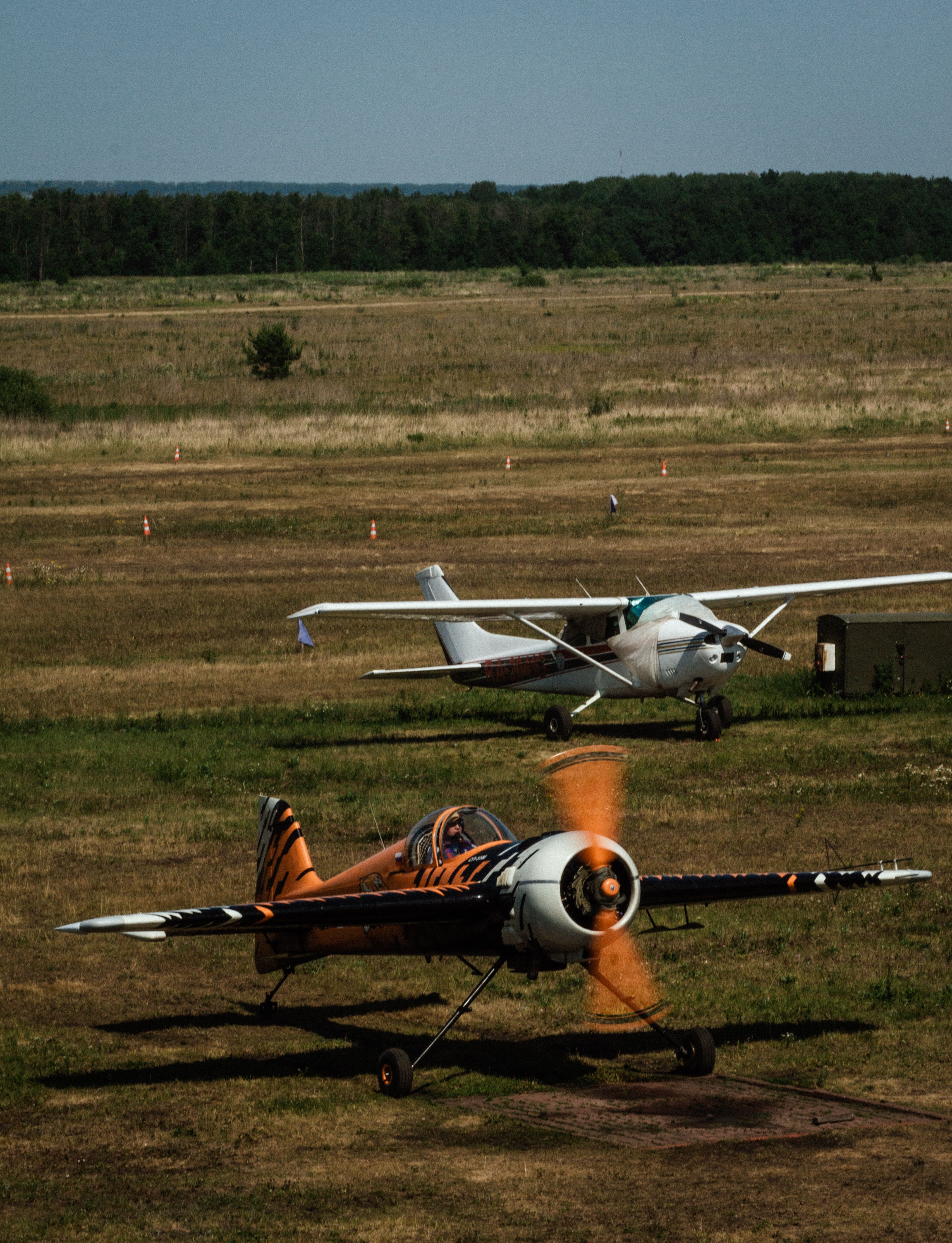 Airplane on Grass · Free Stock Photo
