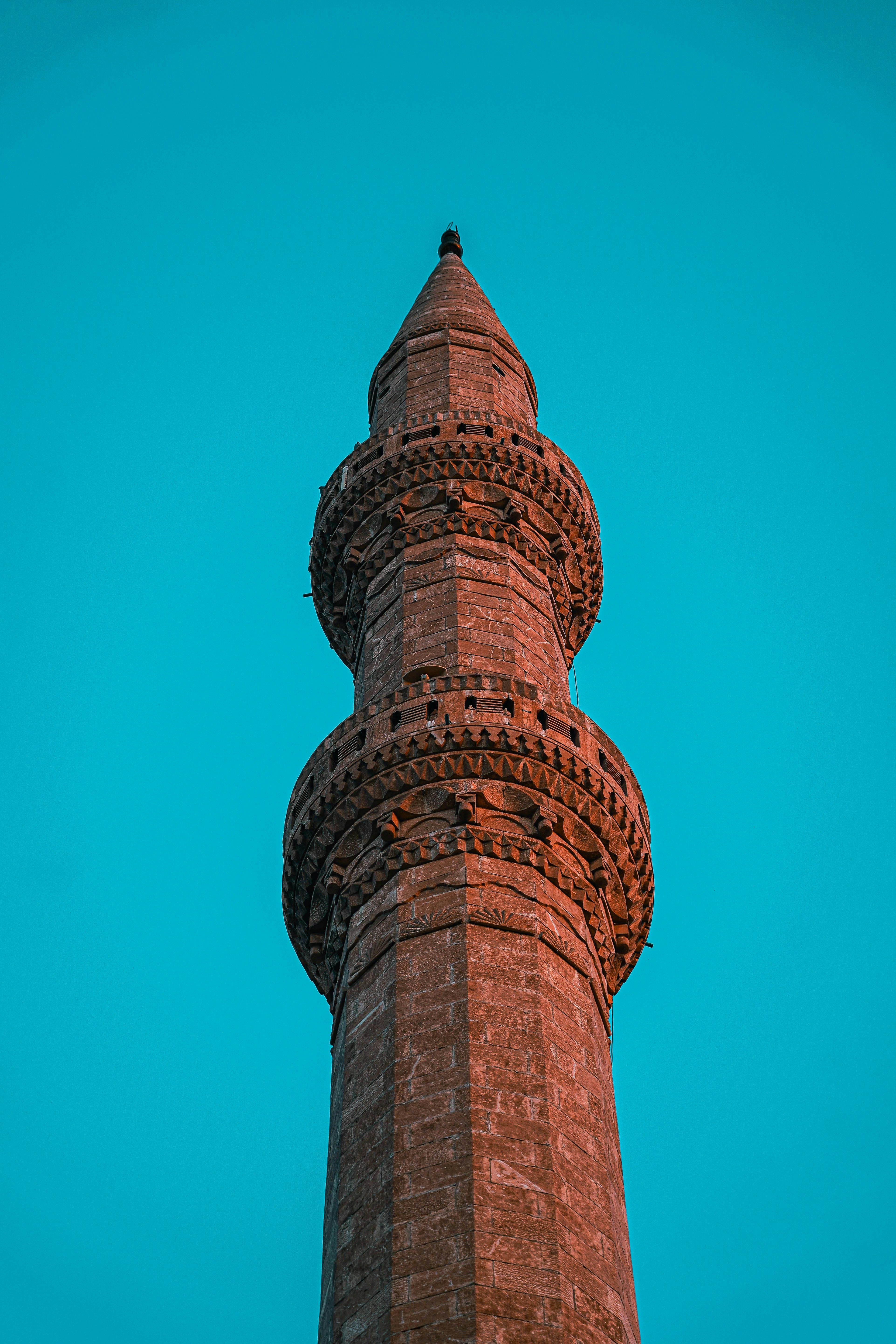 Green Trees Near Qutb Minar Under White Sky · Free Stock Photo