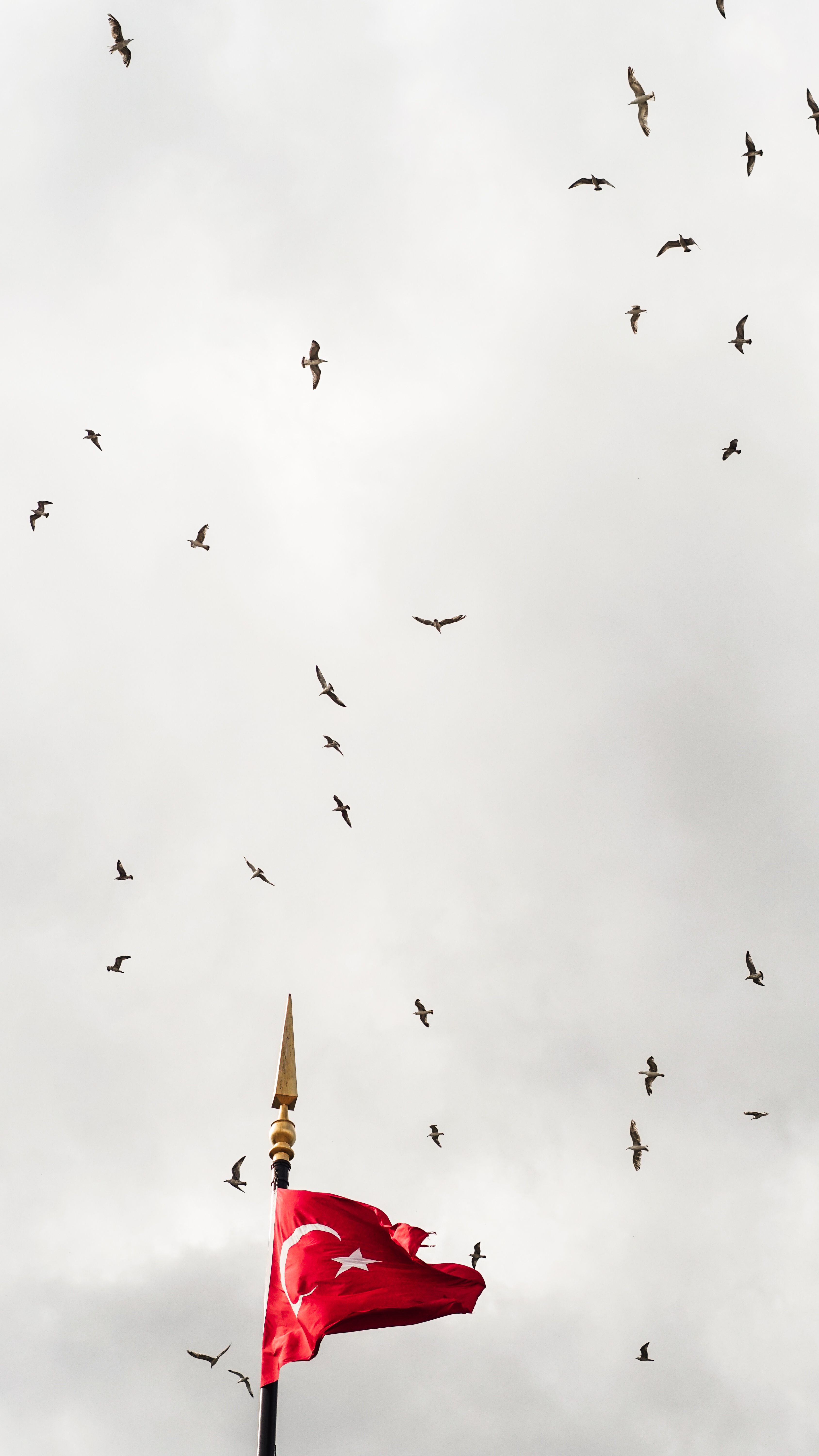 A red and white flag flying in the sky with birds flying around it ...