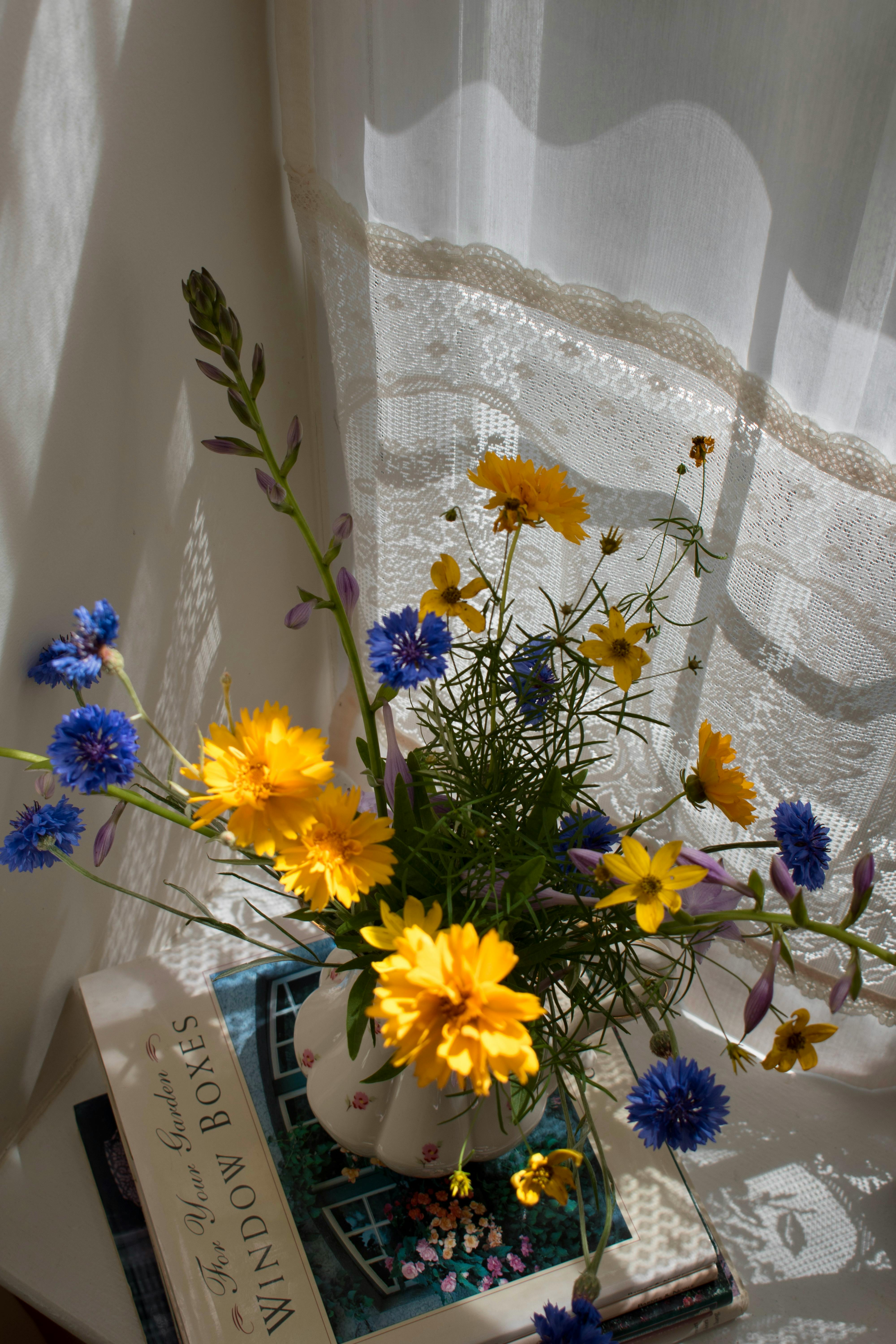 Liblary Room Photos, Download The BEST Free Liblary Room Stock Photos ...