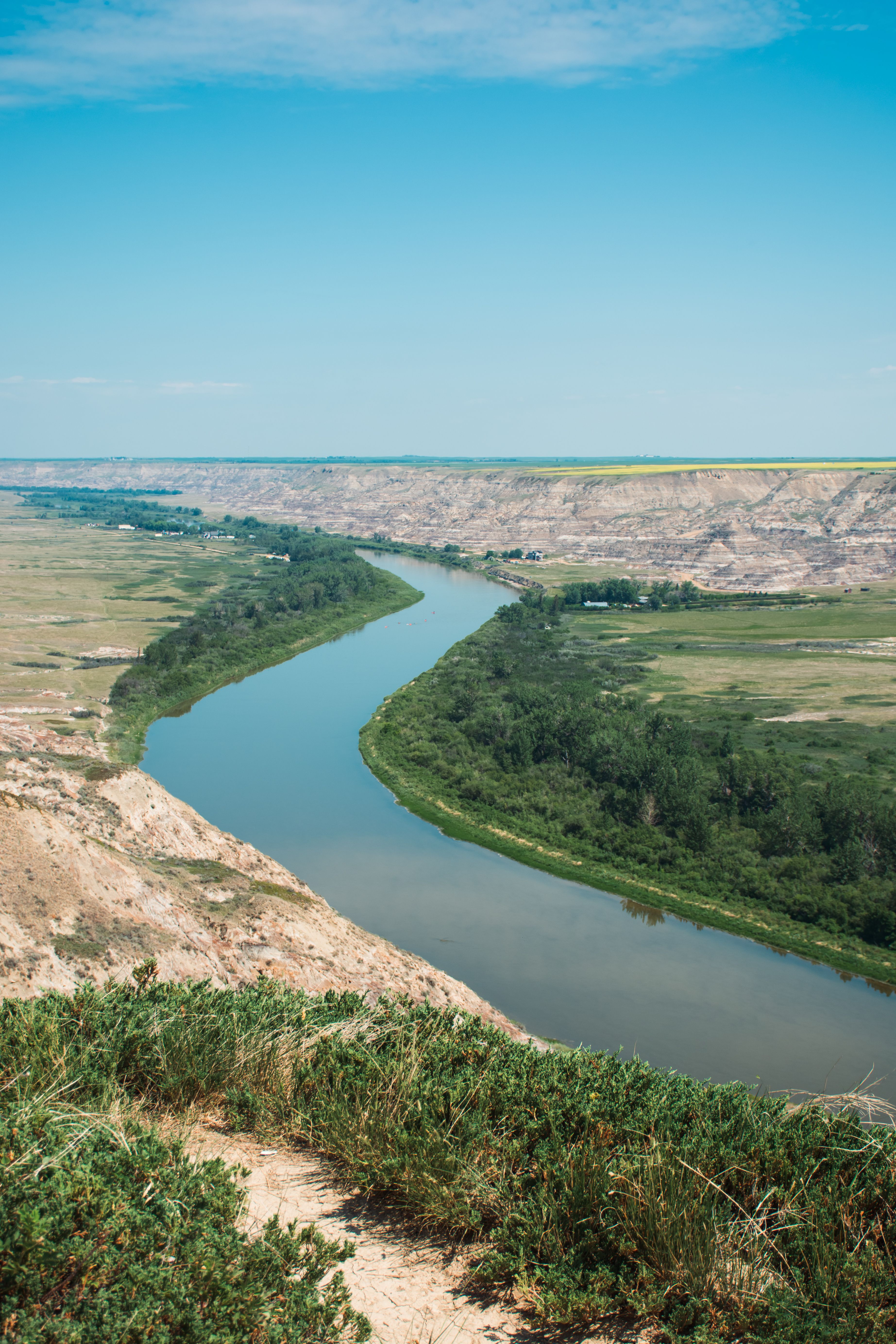 Trees around River on Plains · Free Stock Photo