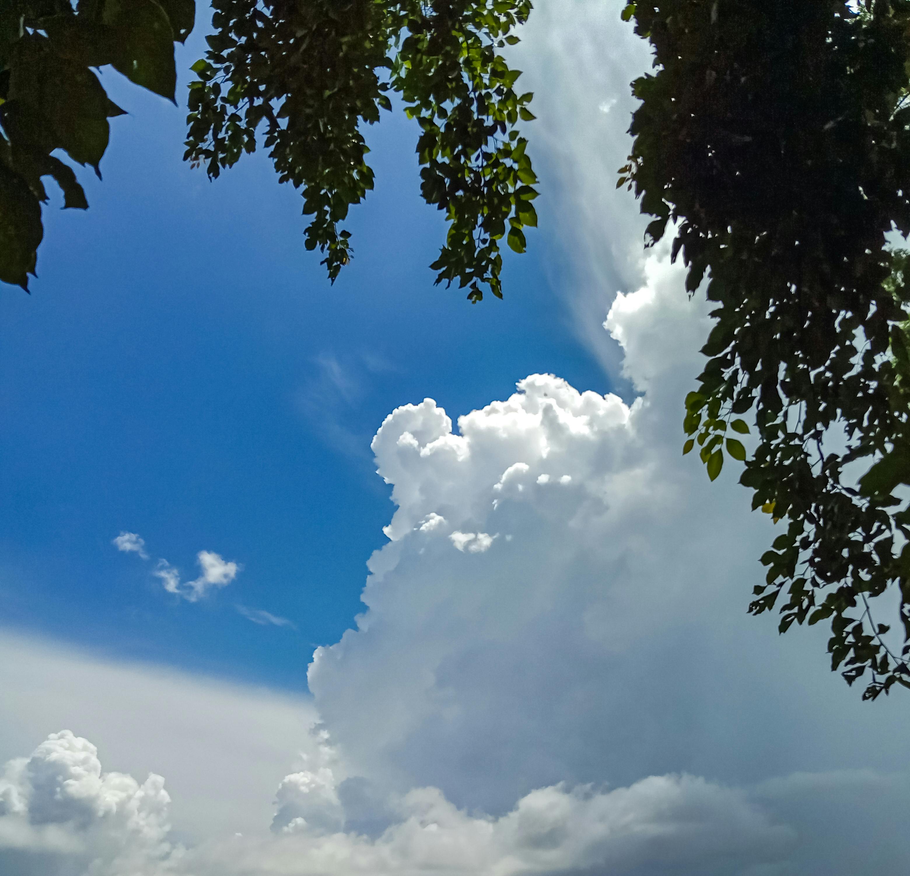 Hasib Sheikh - Fotografía