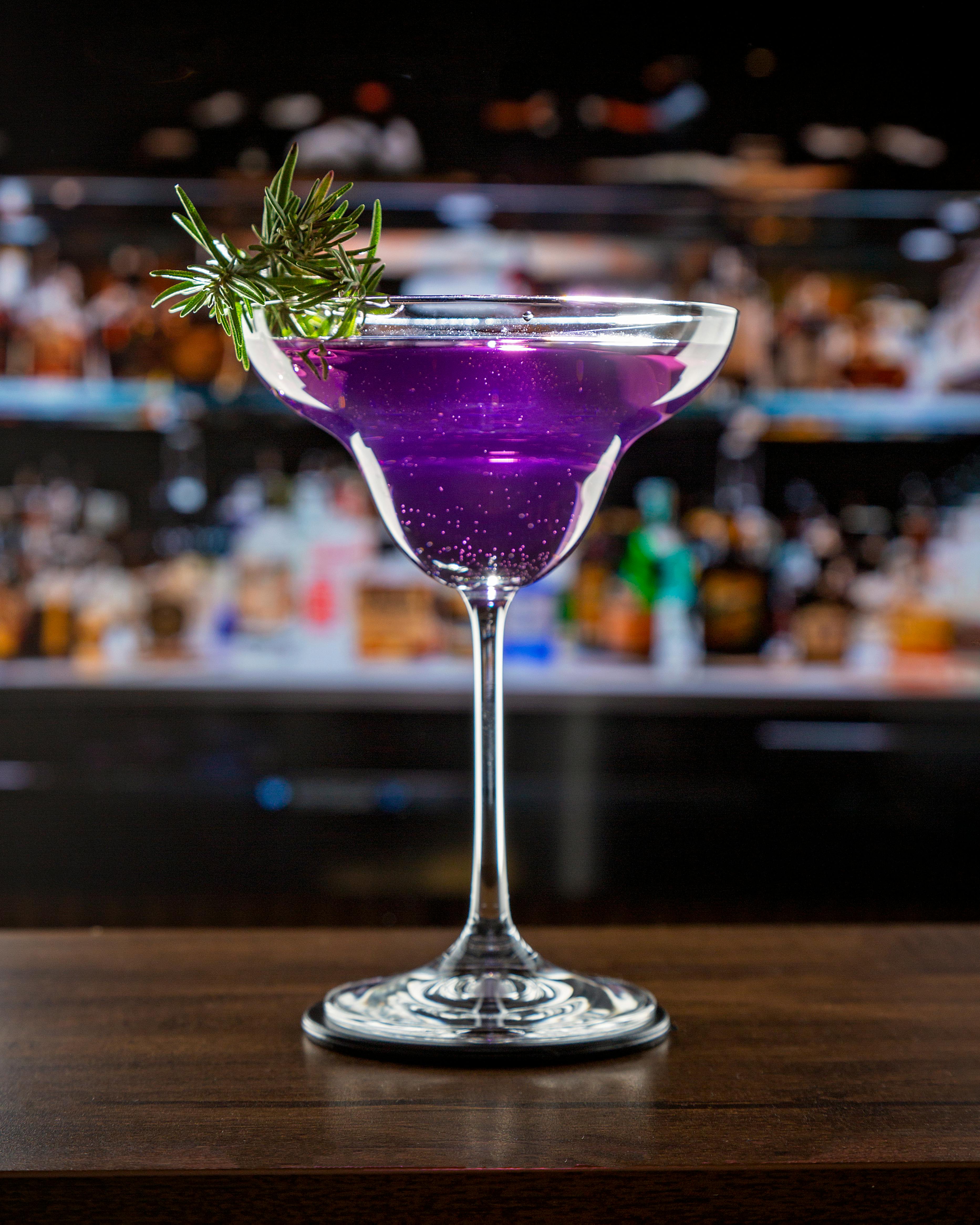 Purple Cocktail in Glass · Free Stock Photo