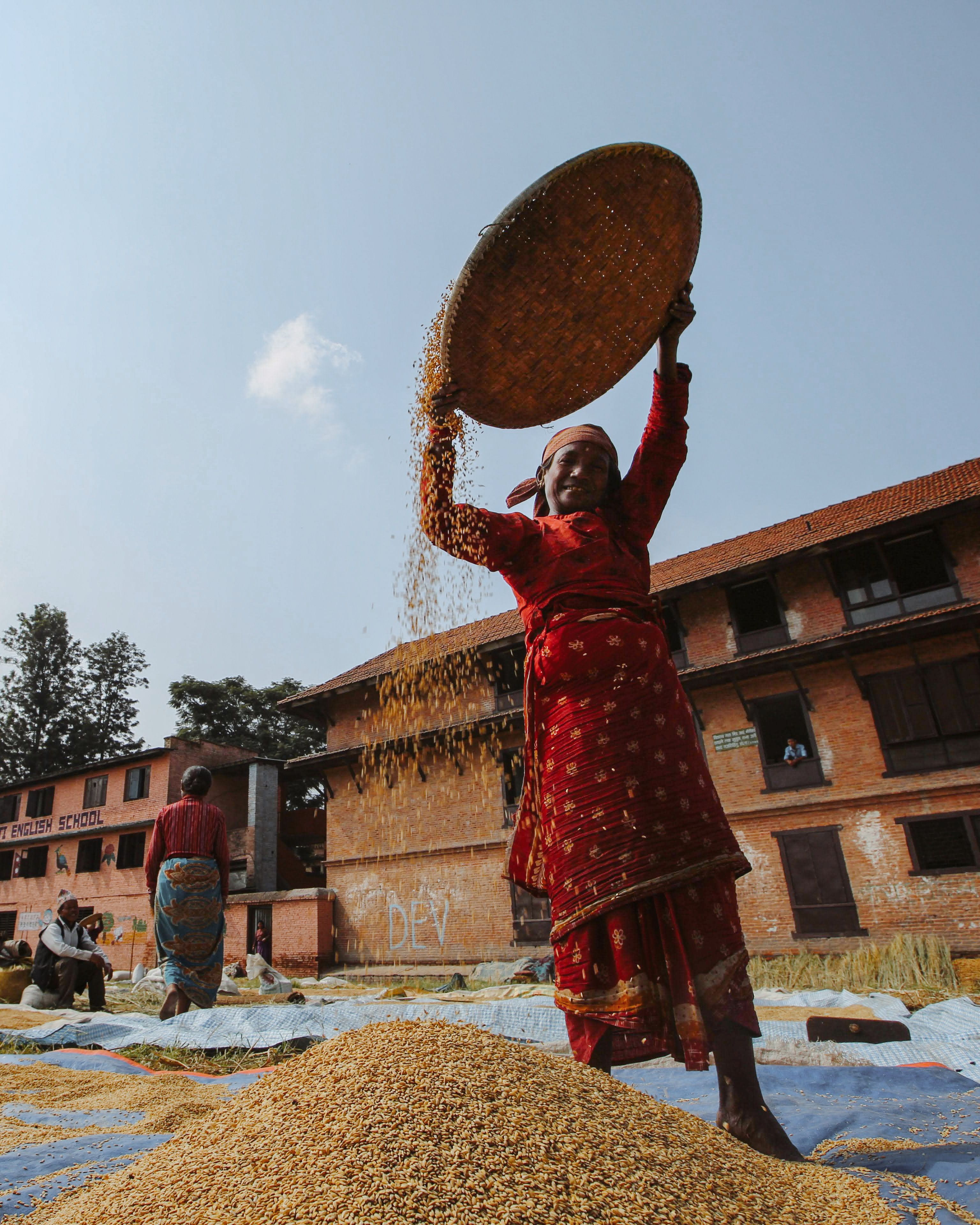 Woman in Traditional Clothing Working with Seeds · Free Stock Photo