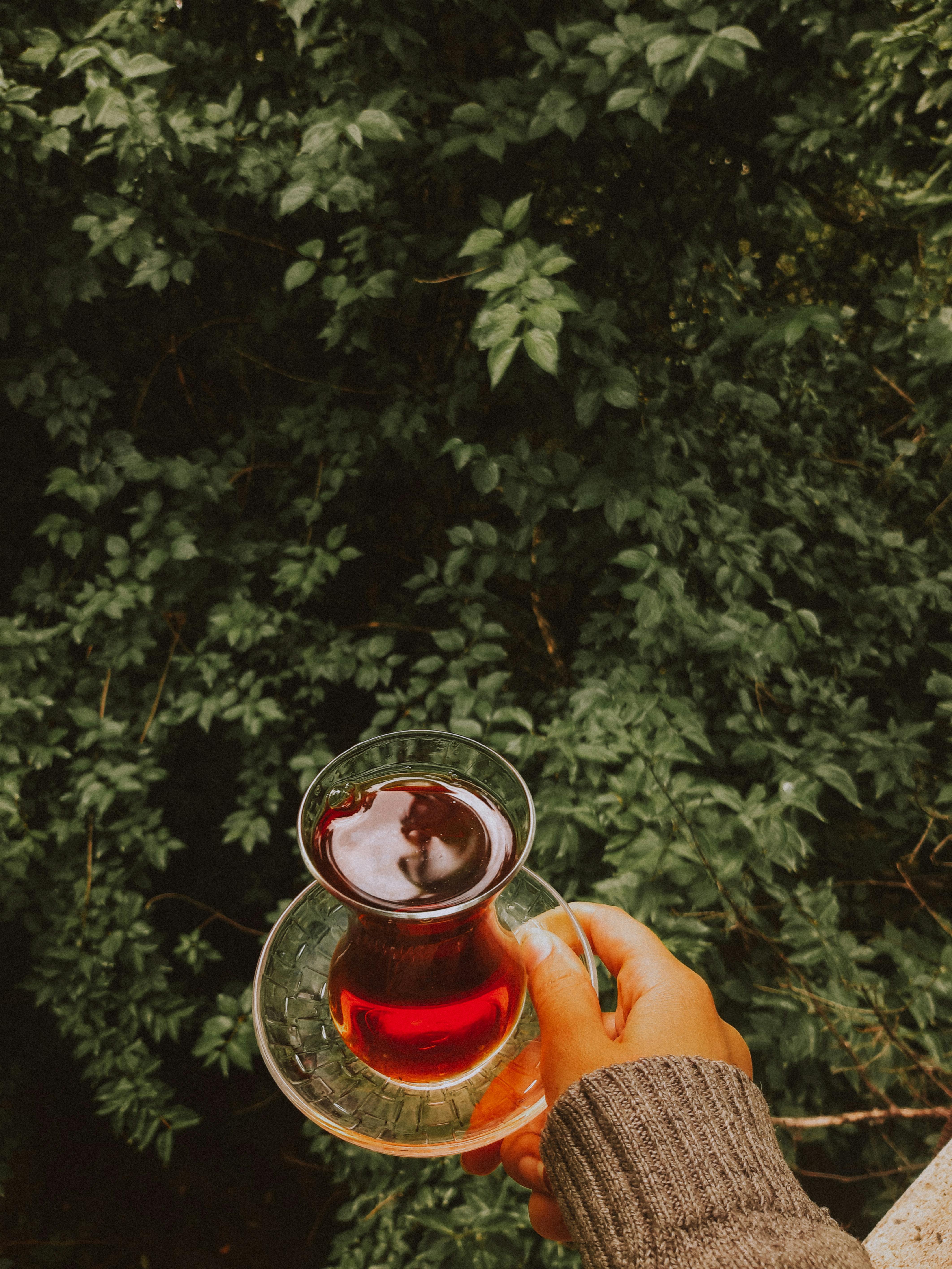 Photo of a Woman Drinking Herbal Tea from a Glass · Free Stock Photo