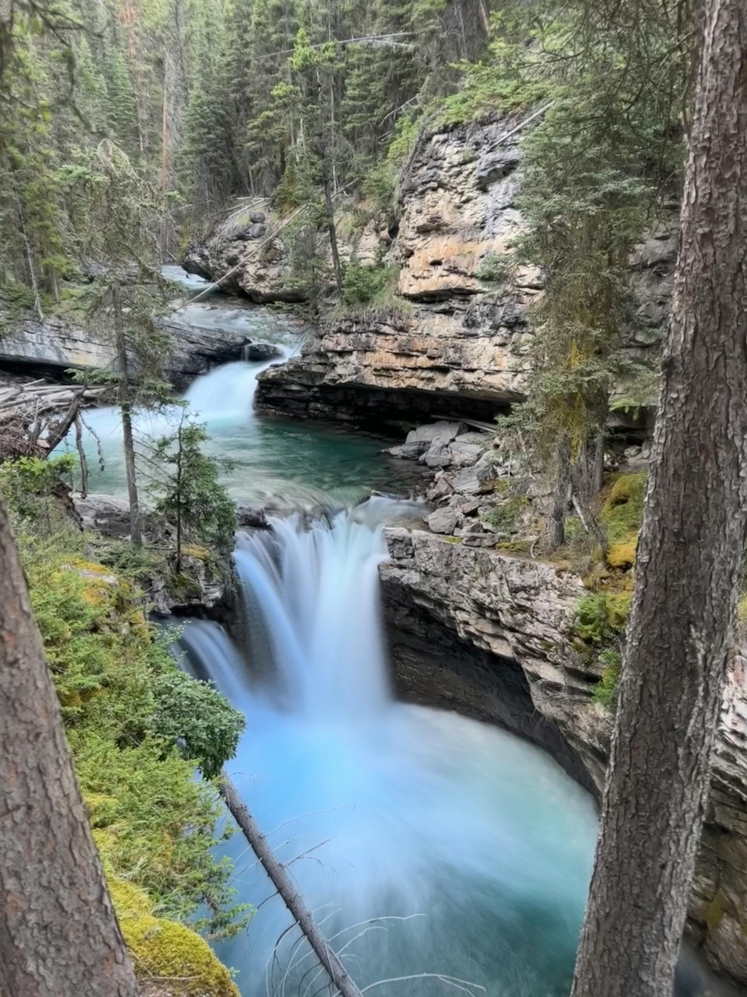 Waterfall on Stream in Forest in Banff National Park in Canada · Free ...