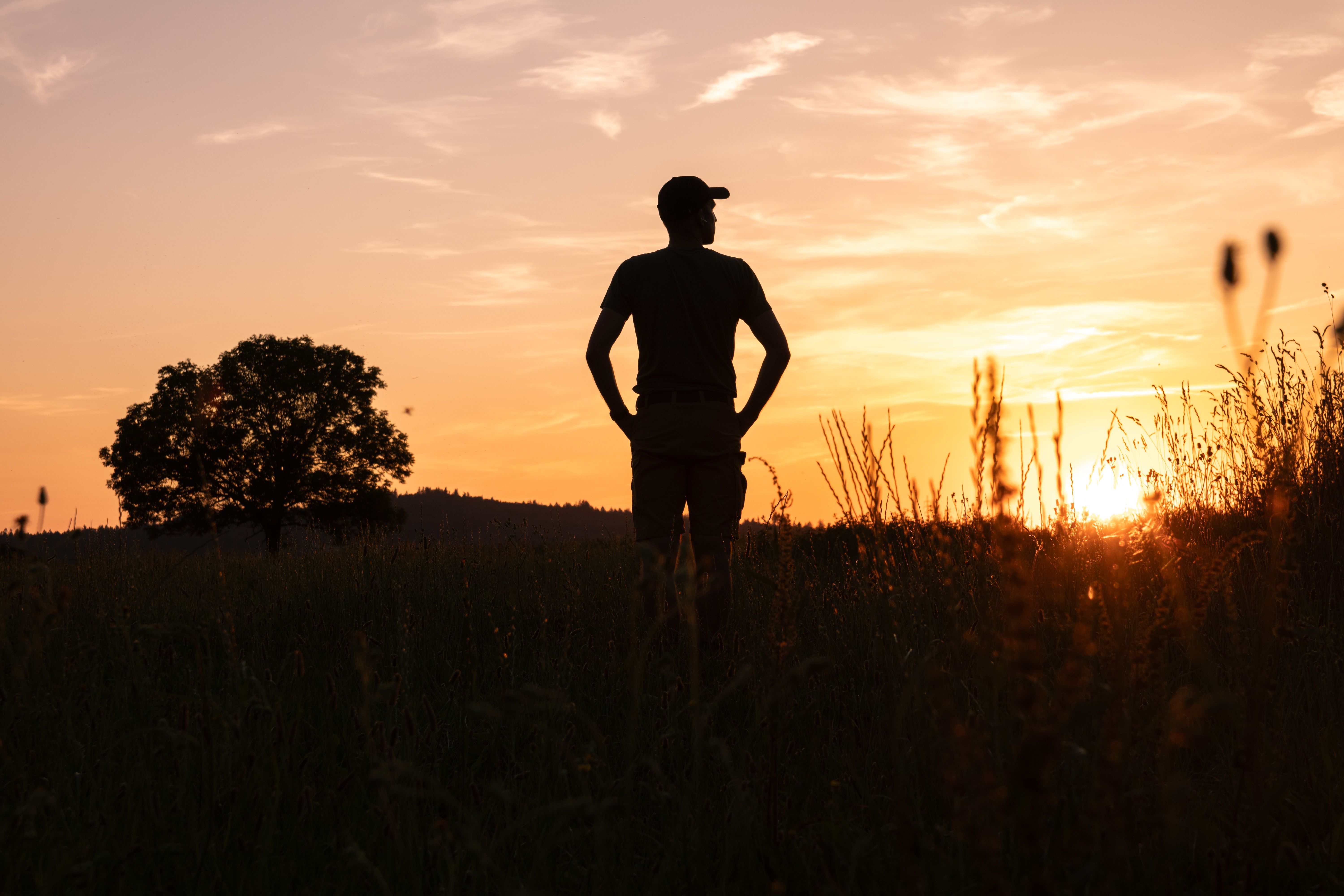 Man Standing Watching Sunset Black Shadow Photos, Download The BEST ...