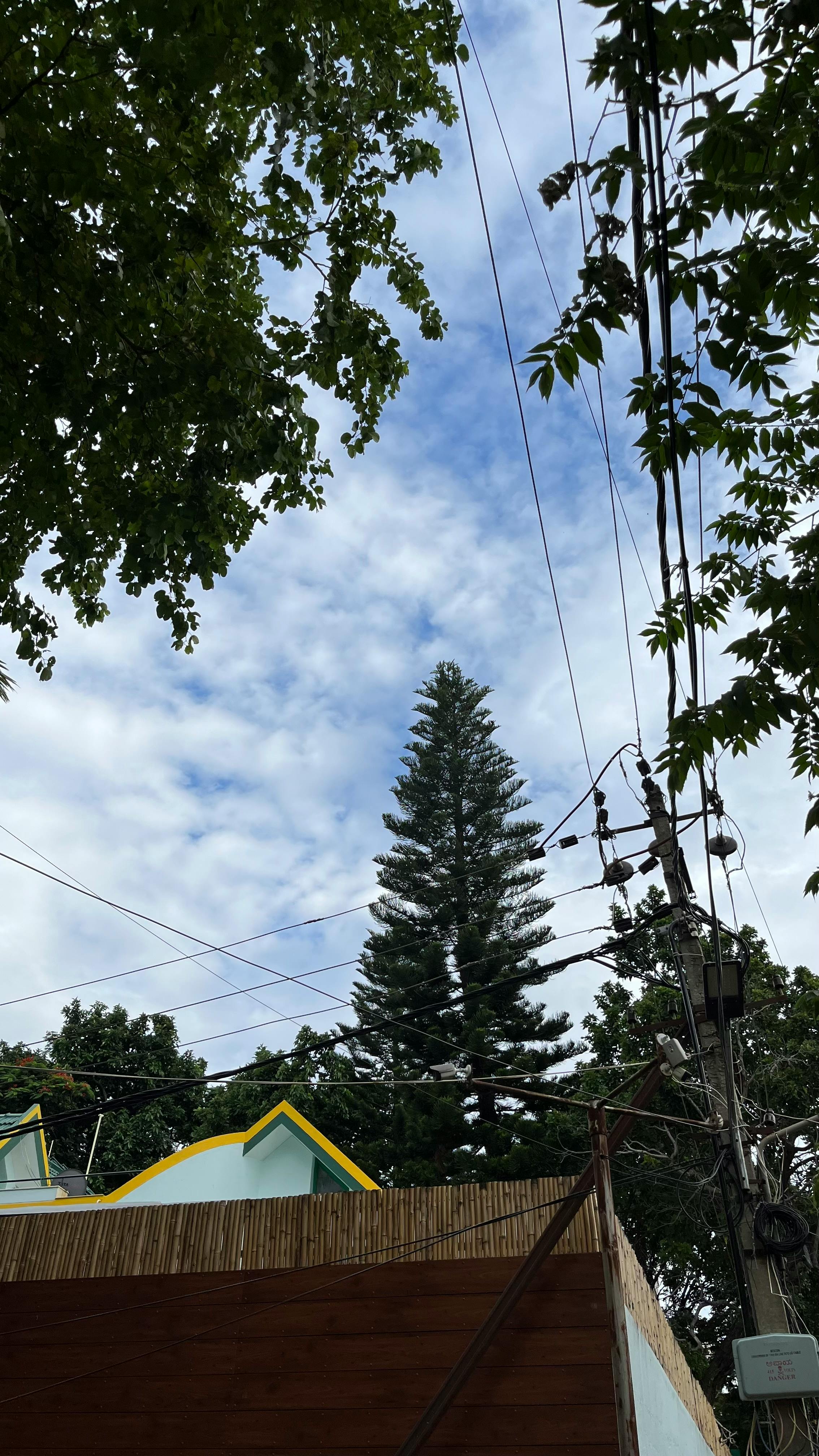 Nikhil Soni - Photography