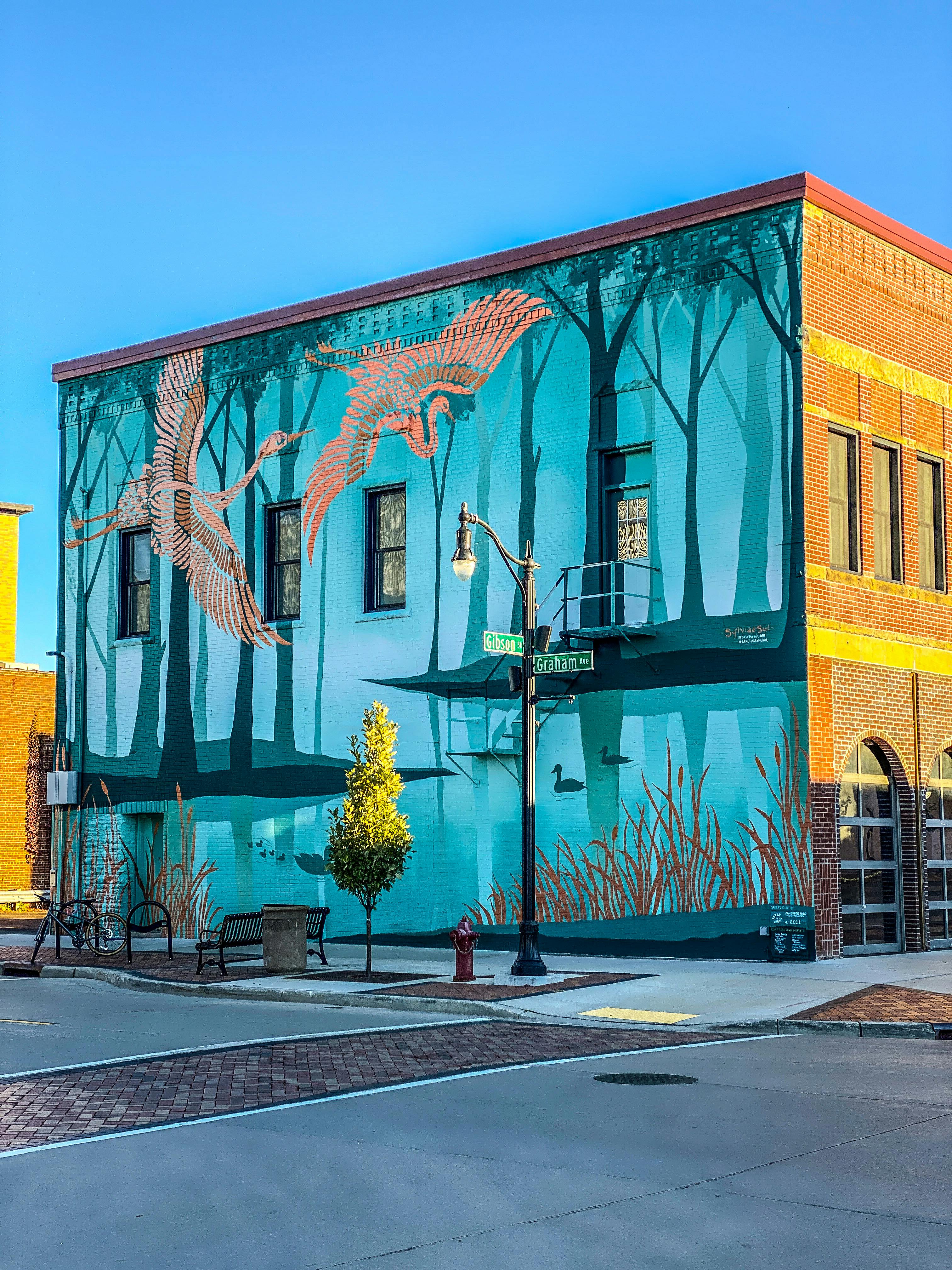 Mural on Building Wall near Street in Eau Claire · Free Stock Photo